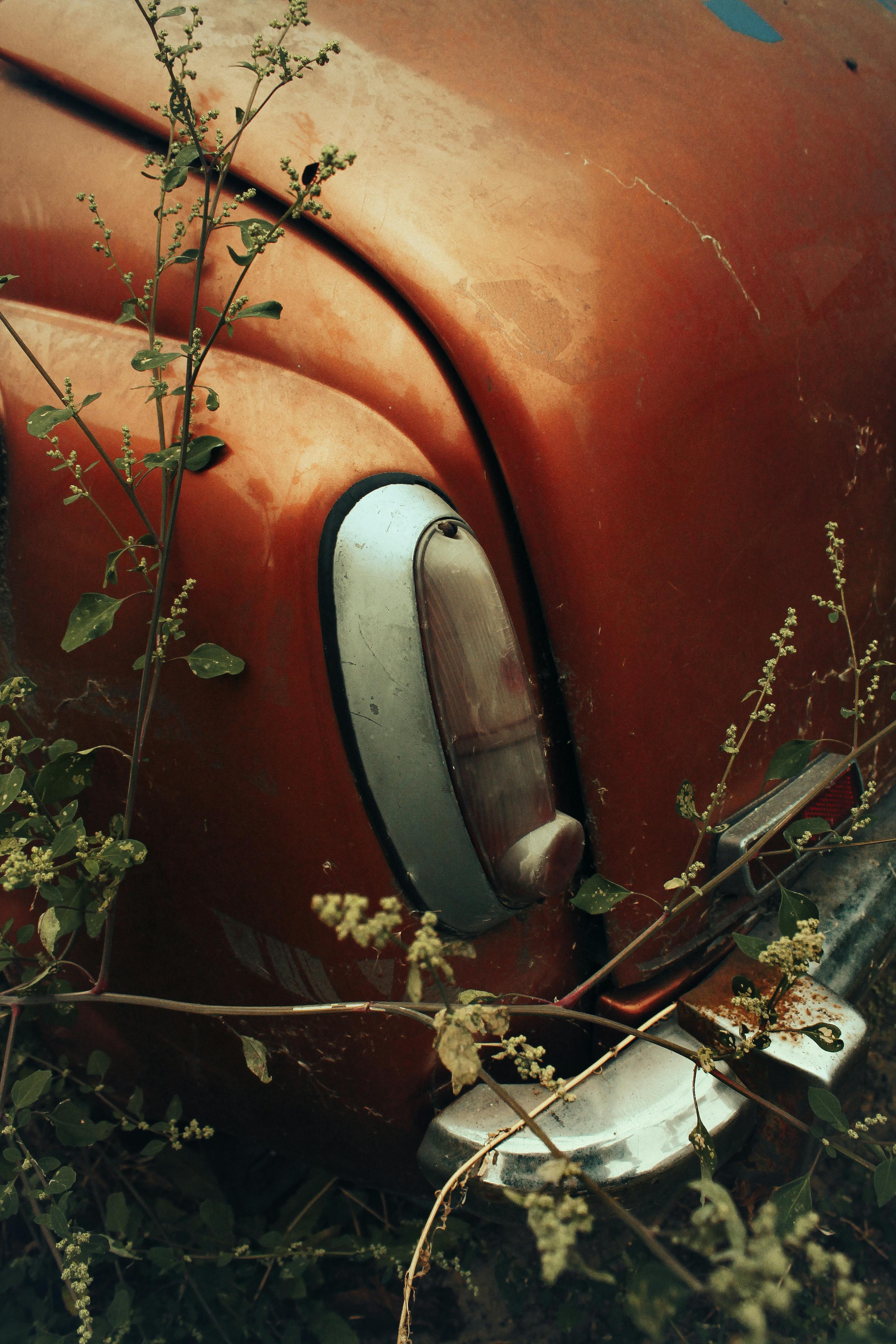 Mechanical Memory Cells Photos, Download The BEST Free Mechanical ...