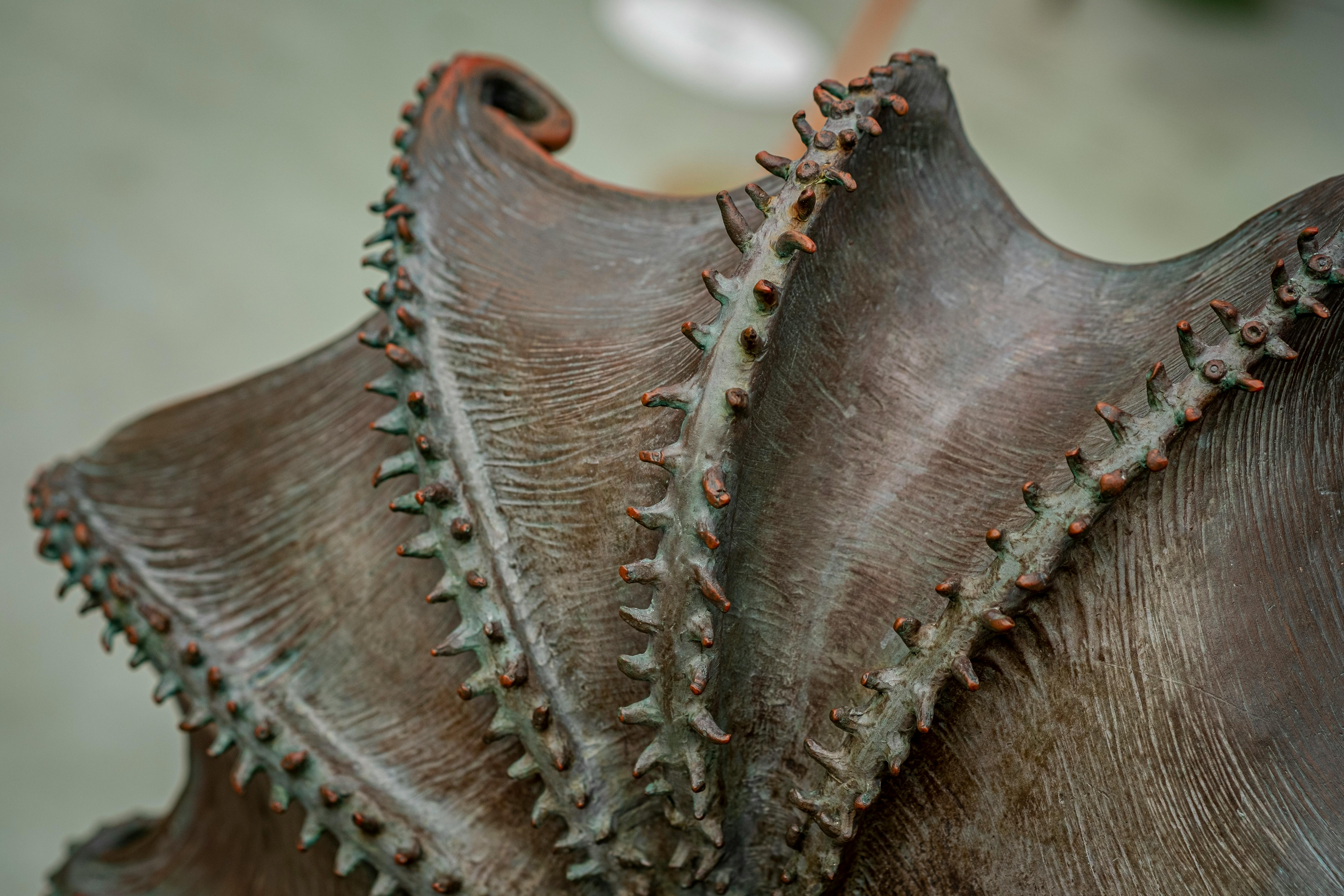 A Brown Creature with Spikes in Close Up Photography · Free Stock Photo