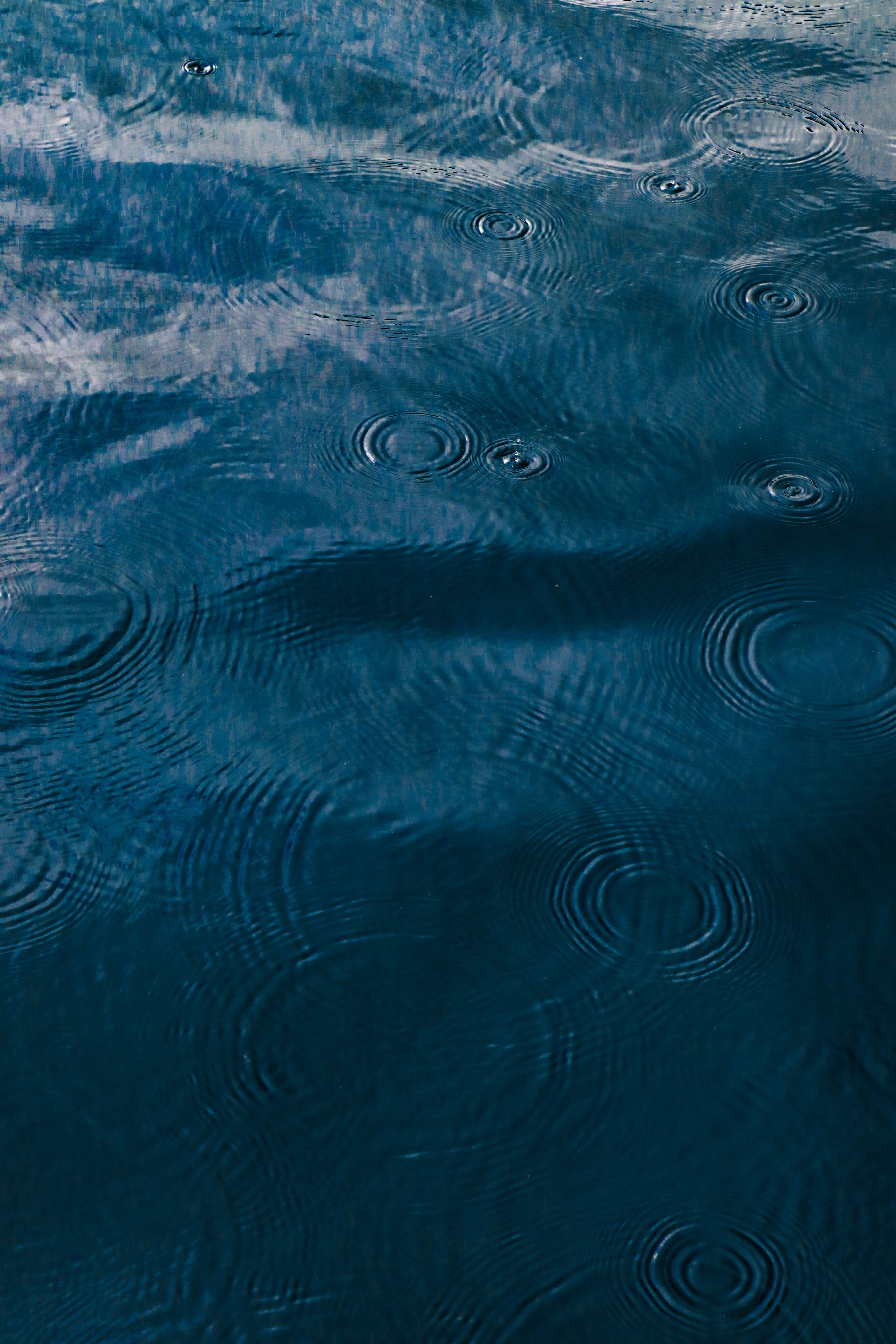 Blue Rain Drop Photos, Download The BEST Free Blue Rain Drop Stock ...