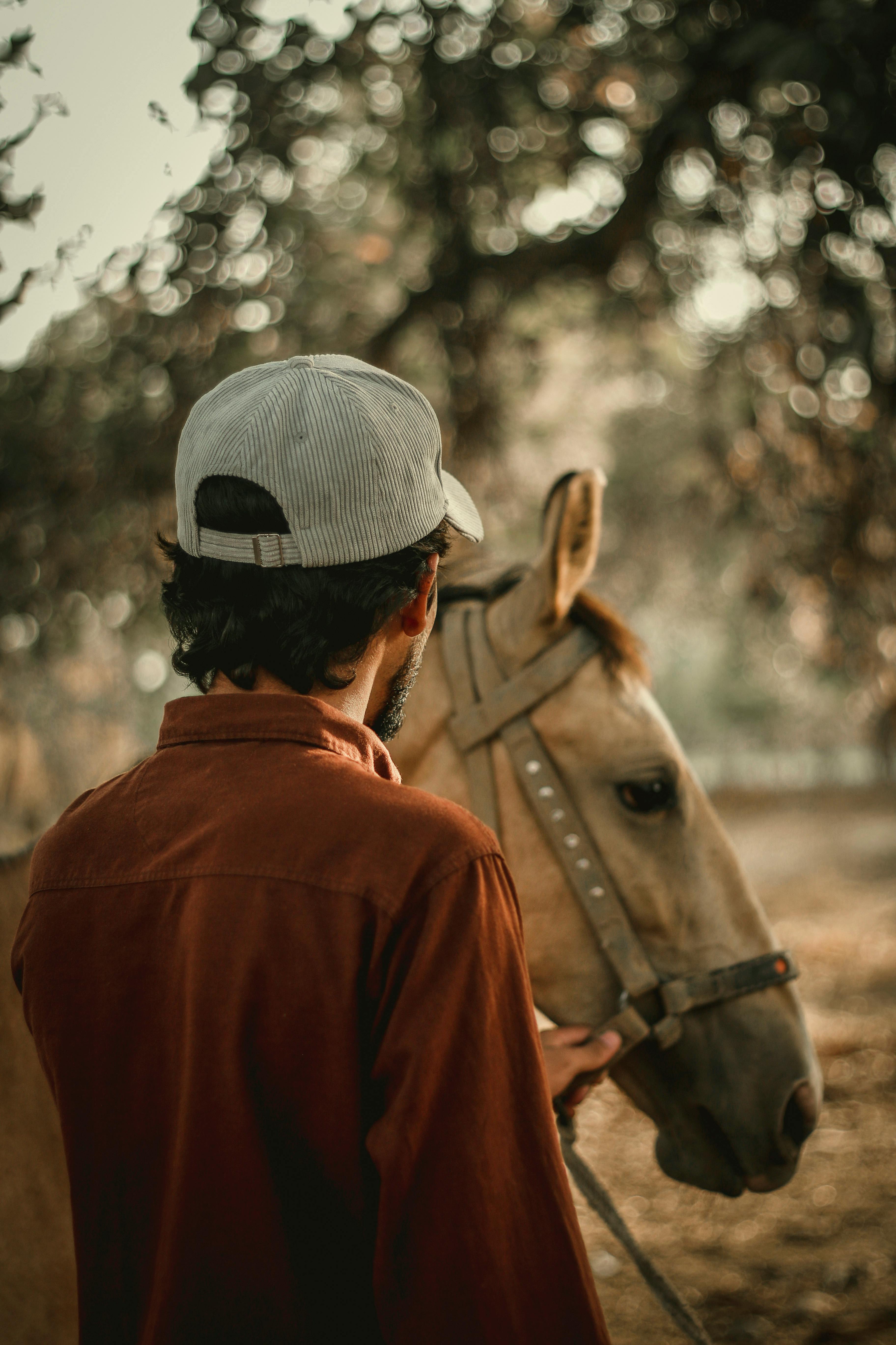 A Man Standing Beside the Brown Horse · Free Stock Photo