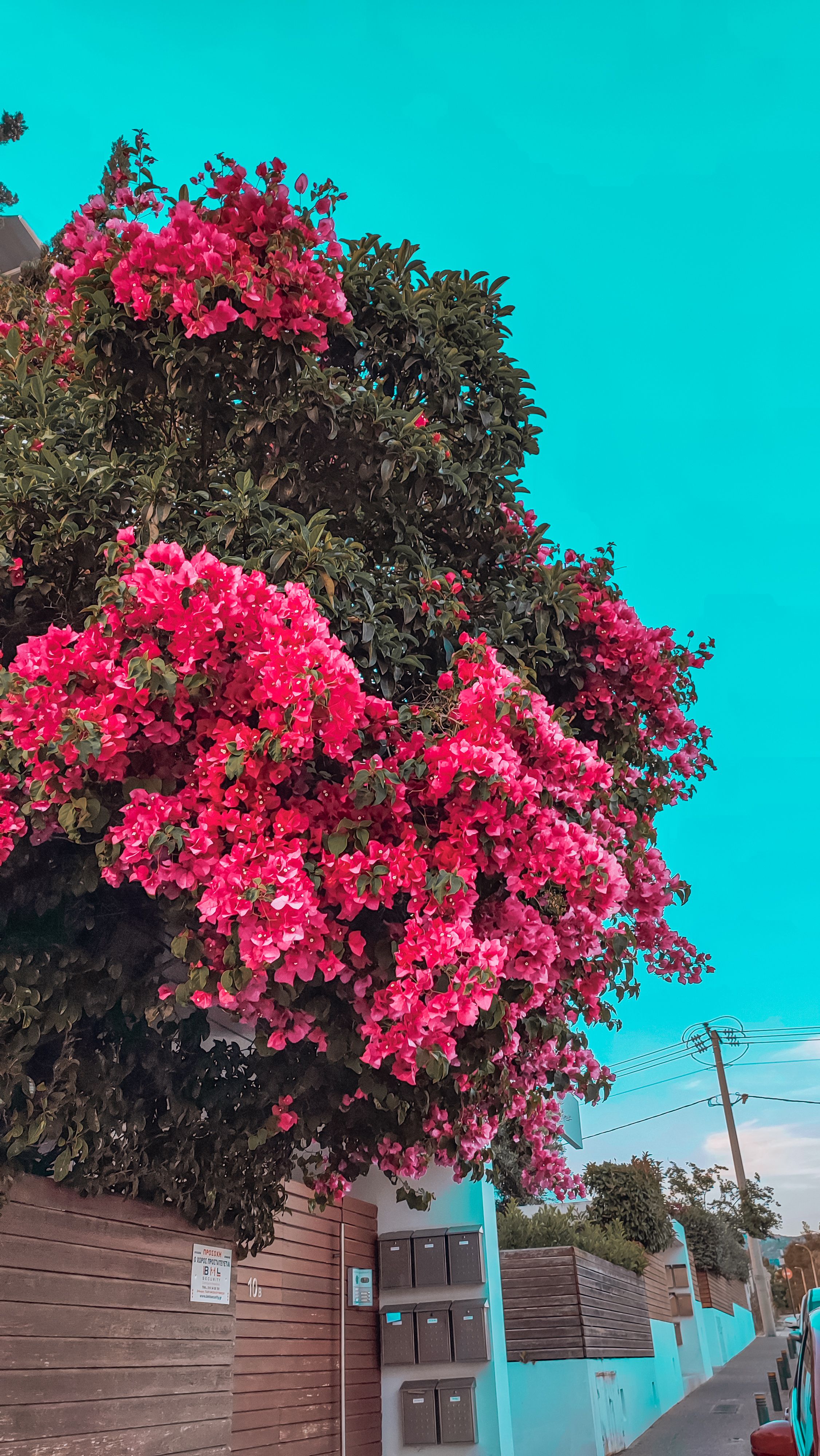 Fanis Kaisaritis - Fotografía