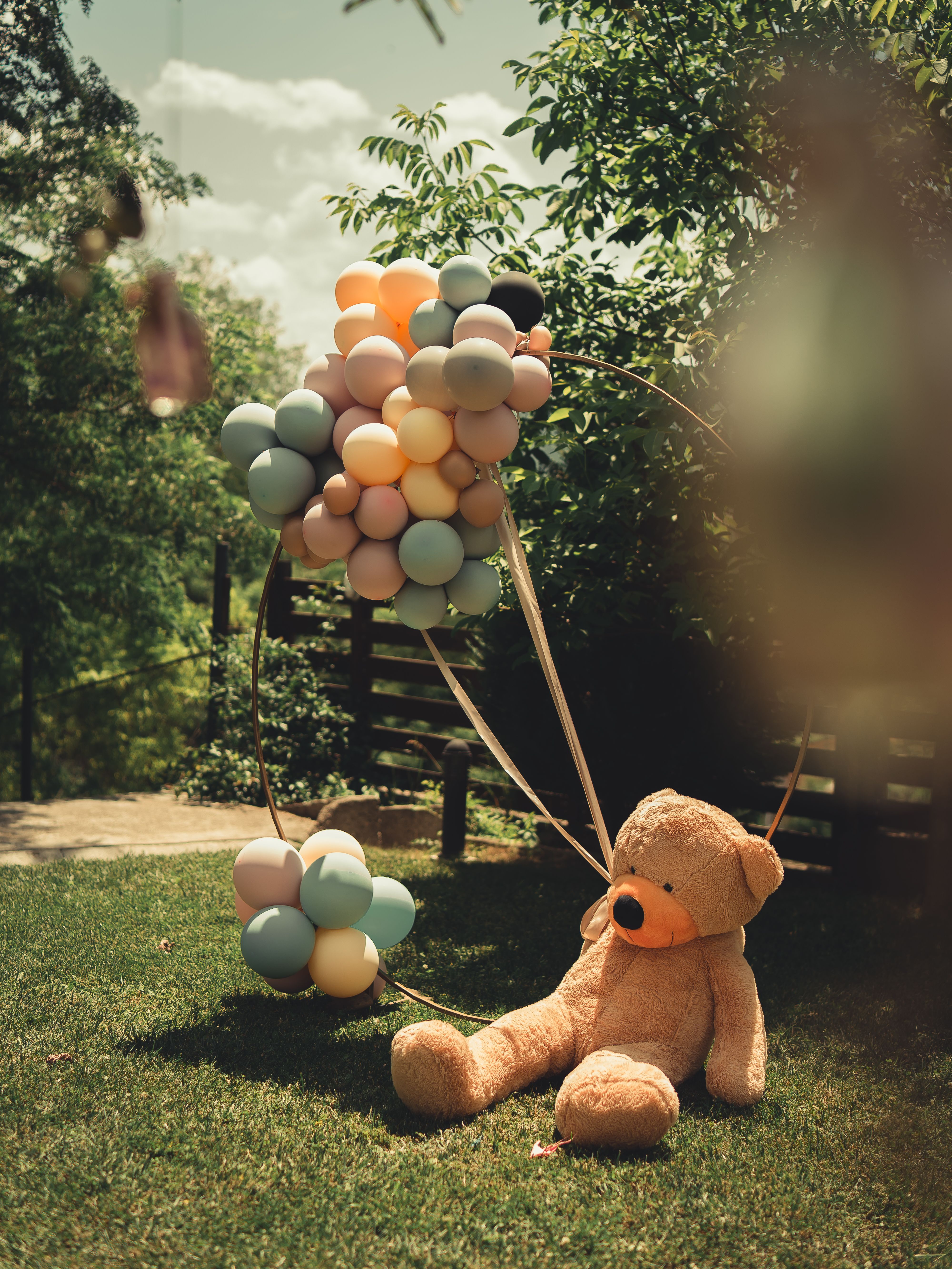 Teddy With Balloons Photos, Download The BEST Free Teddy With Balloons ...