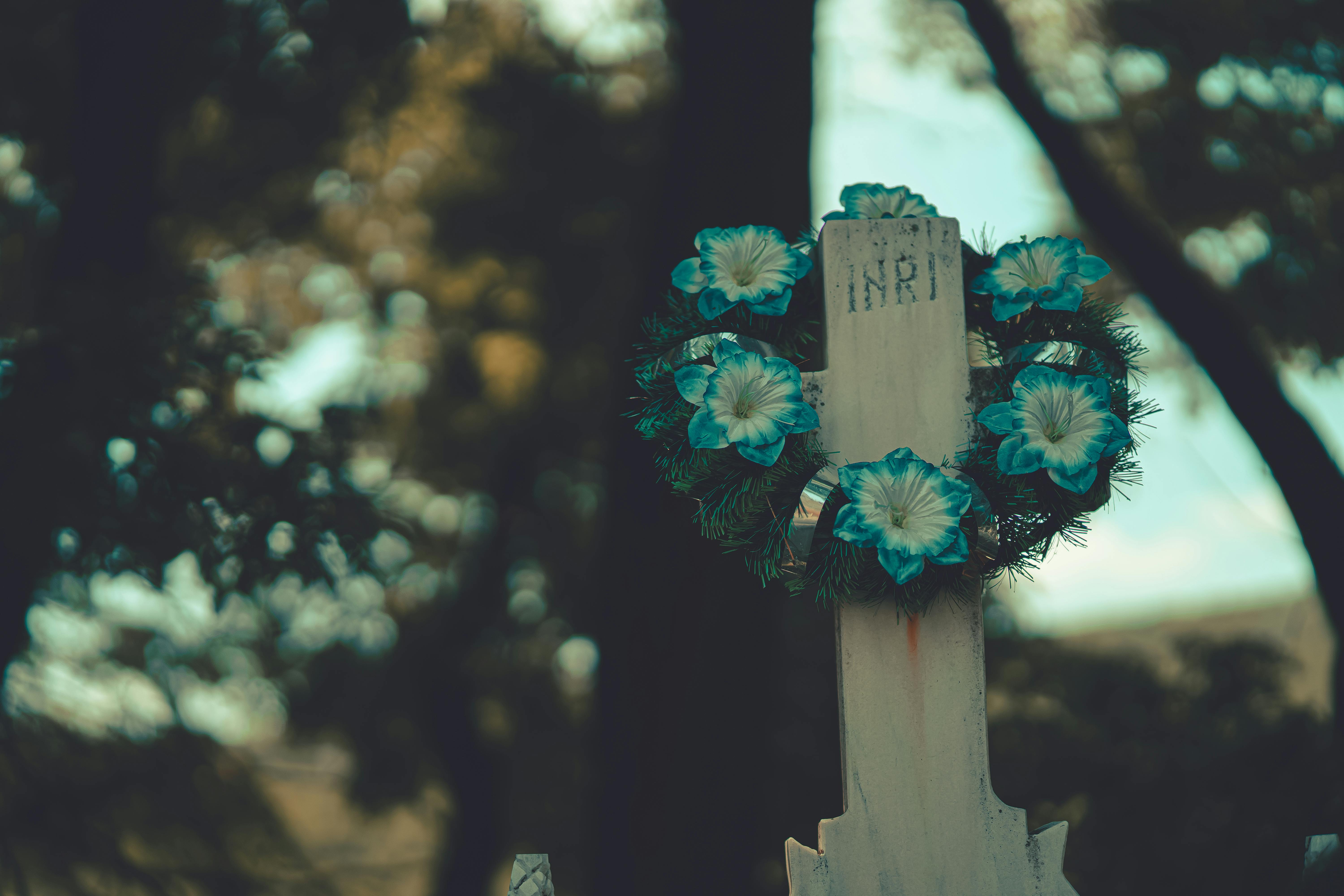 Stunt Sign Photos, Download Free Stunt Sign Stock Photos & HD Images