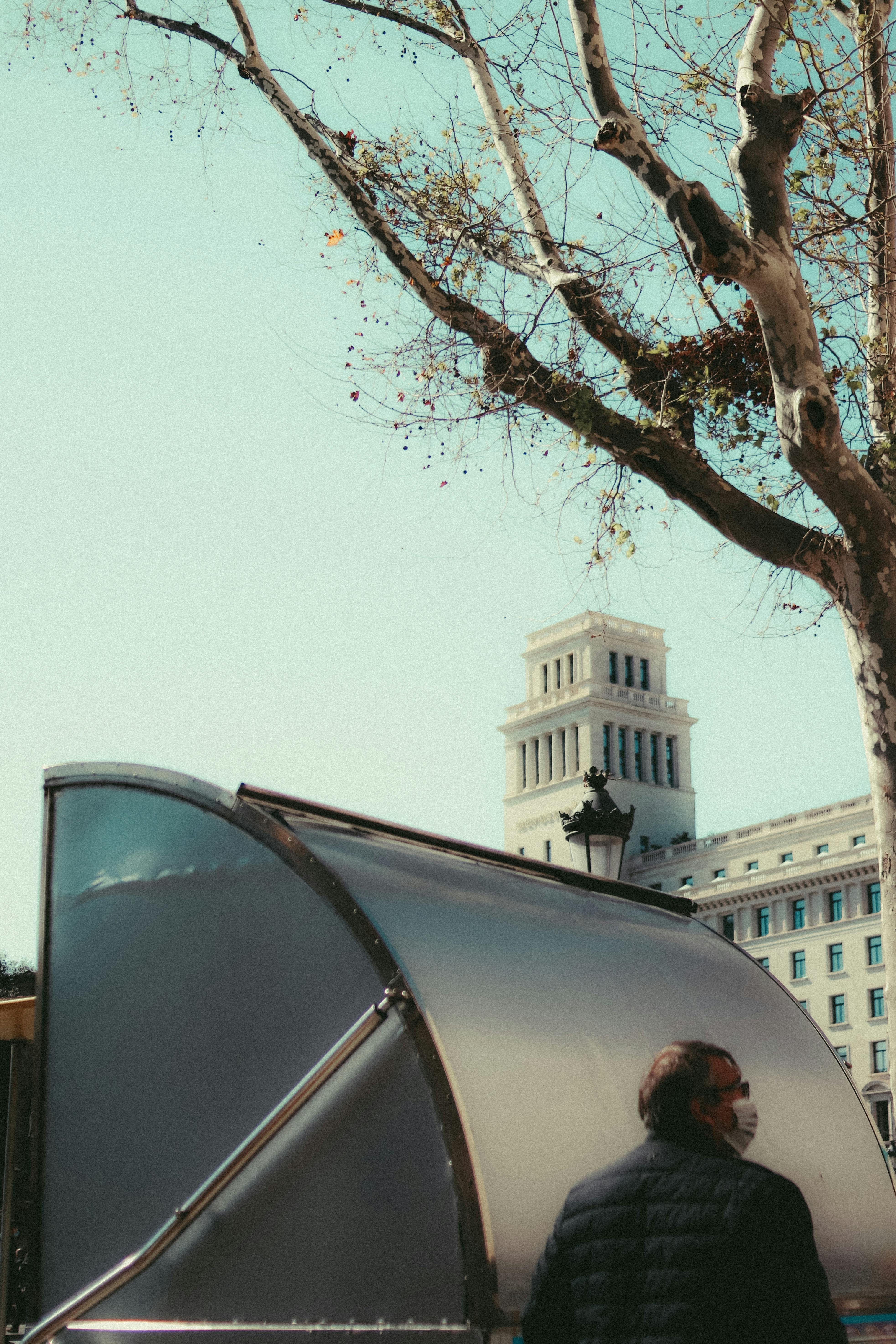 Tree and a Building Above a Bus Stop · Free Stock Photo