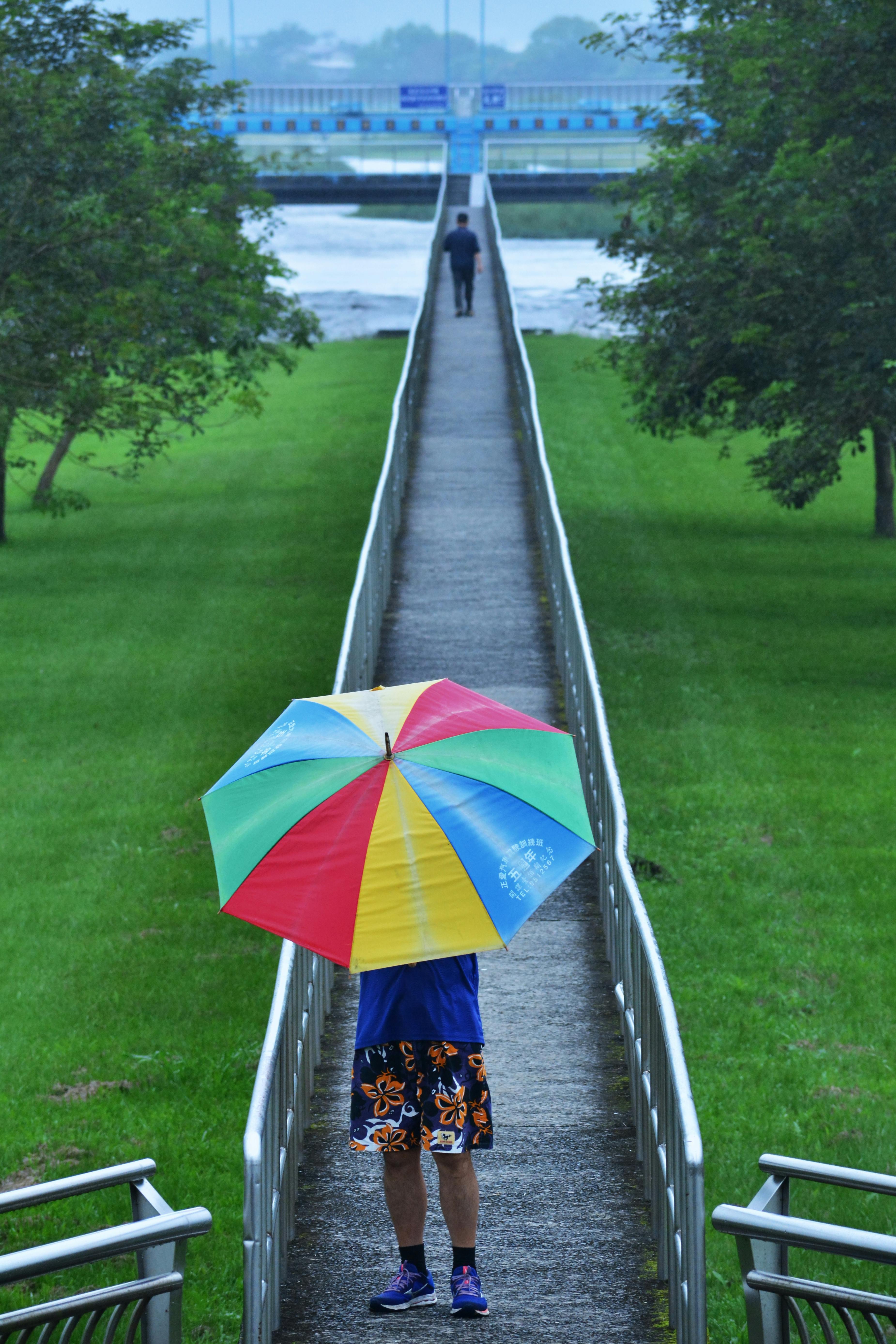 Person Holding Umbrella Walking on Pathway · Free Stock Photo