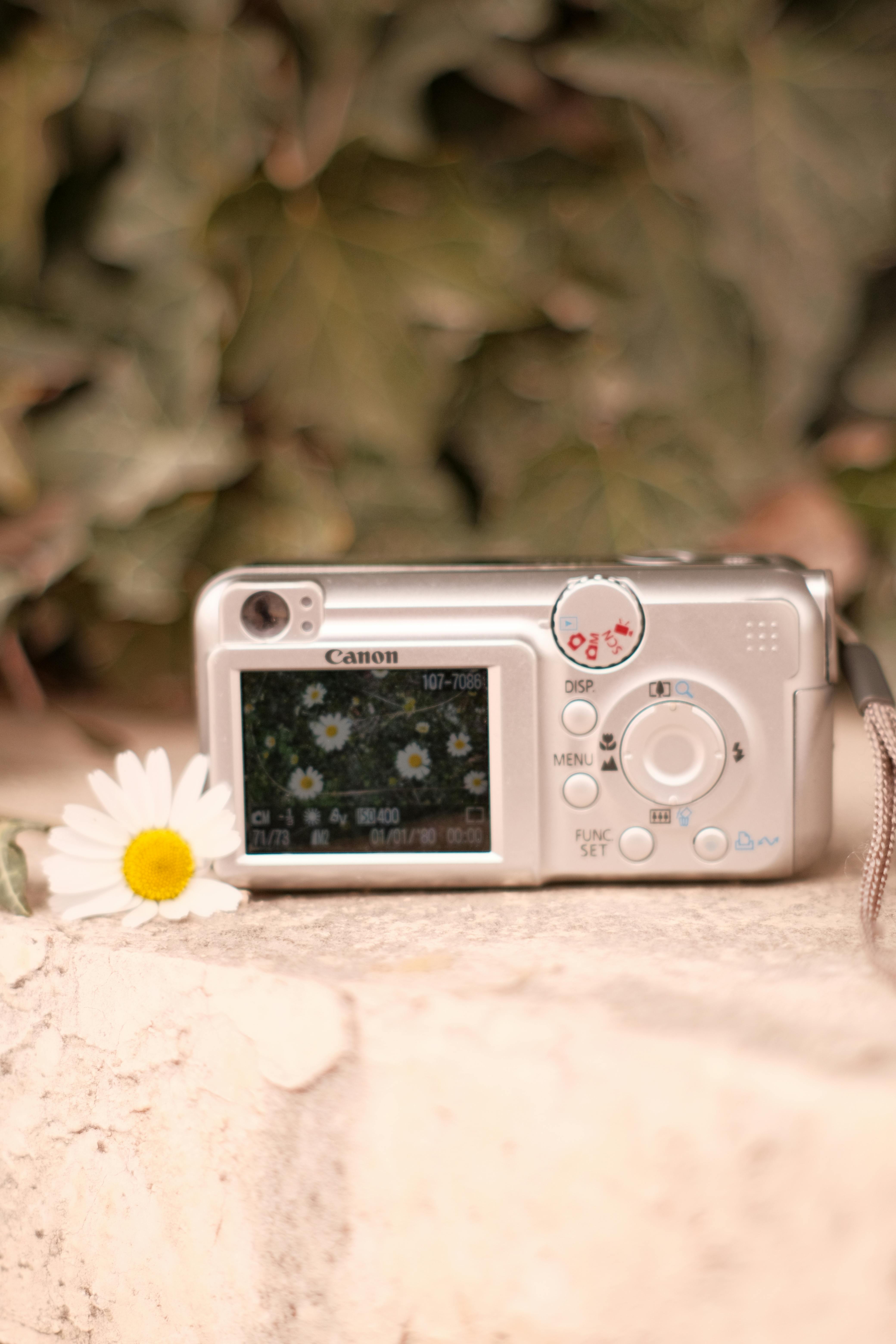 Flower Beside a Camera · Free Stock Photo
