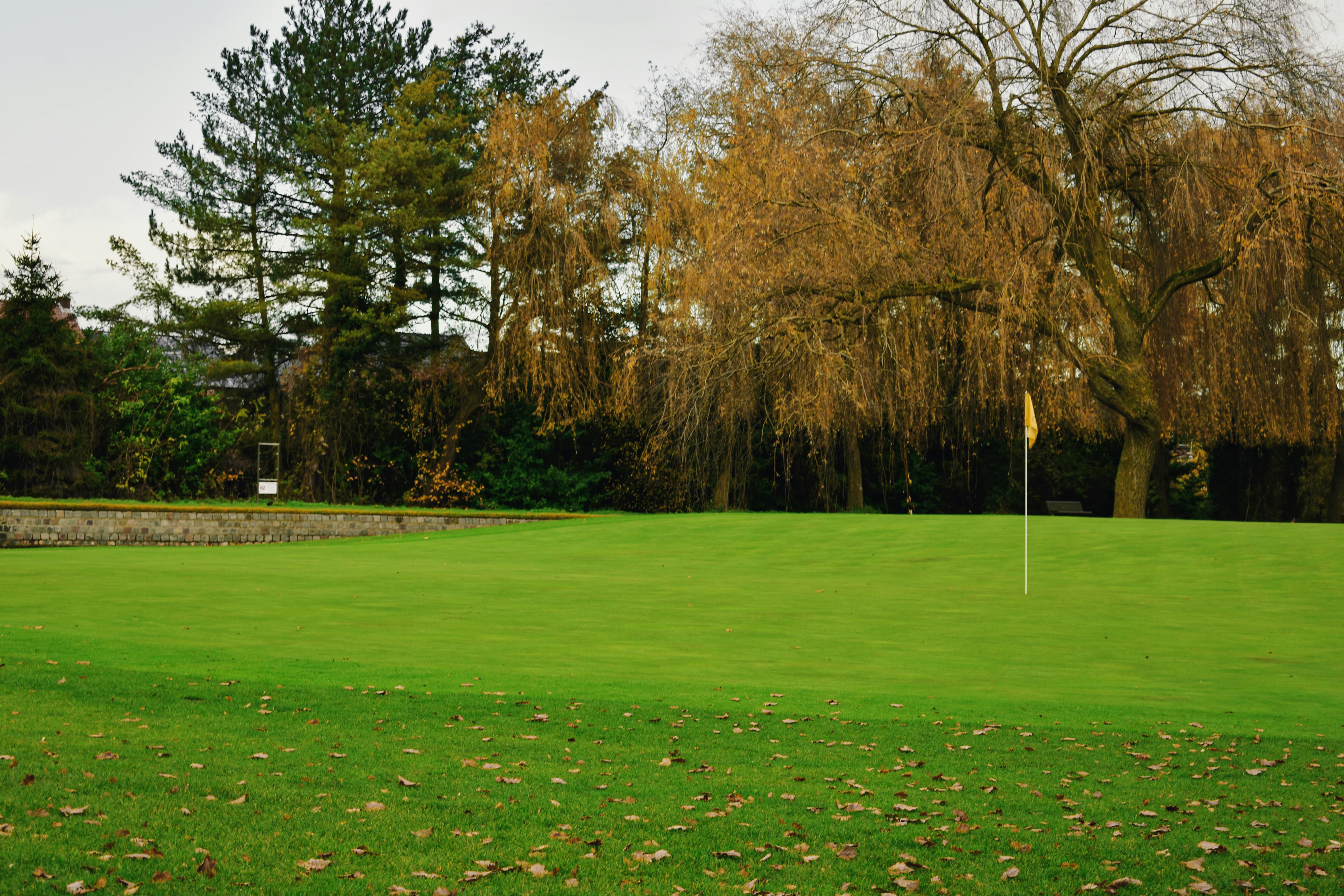 Golf Court in Autumn · Free Stock Photo