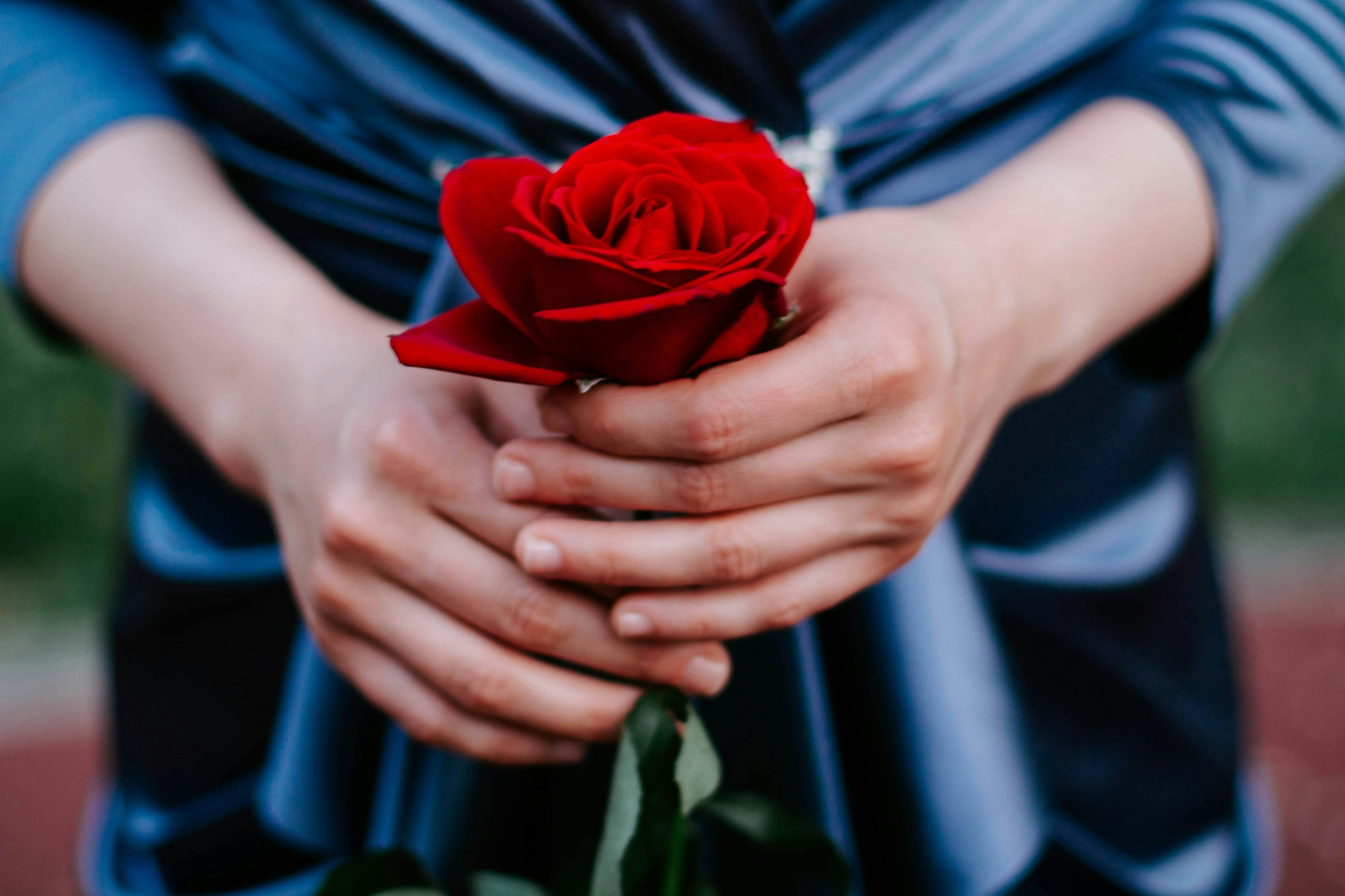 Photo of Person Holding Two White Roses · Free Stock Photo