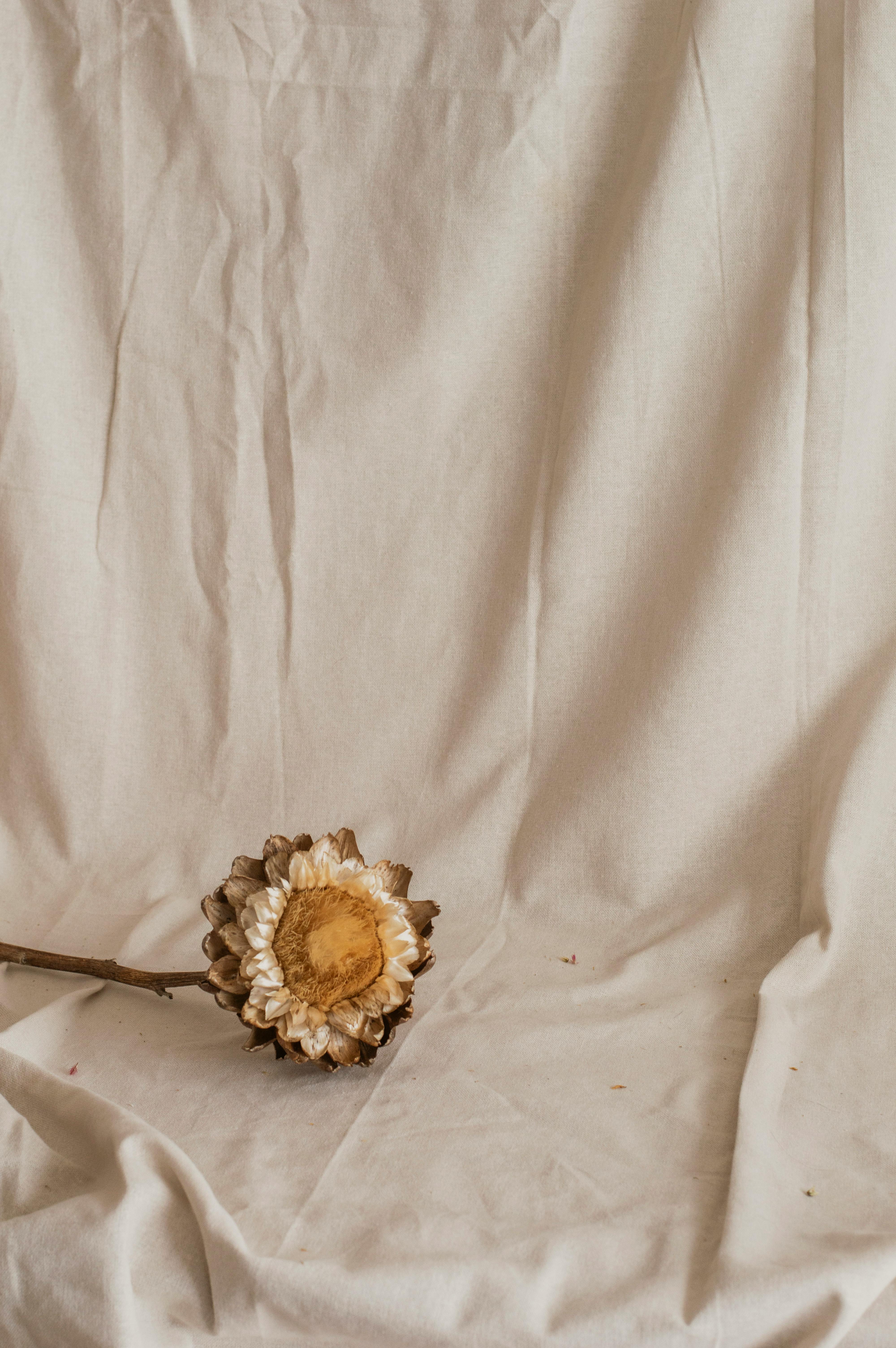 Fabric Drapery Photos, Download The BEST Free Fabric Drapery Stock ...