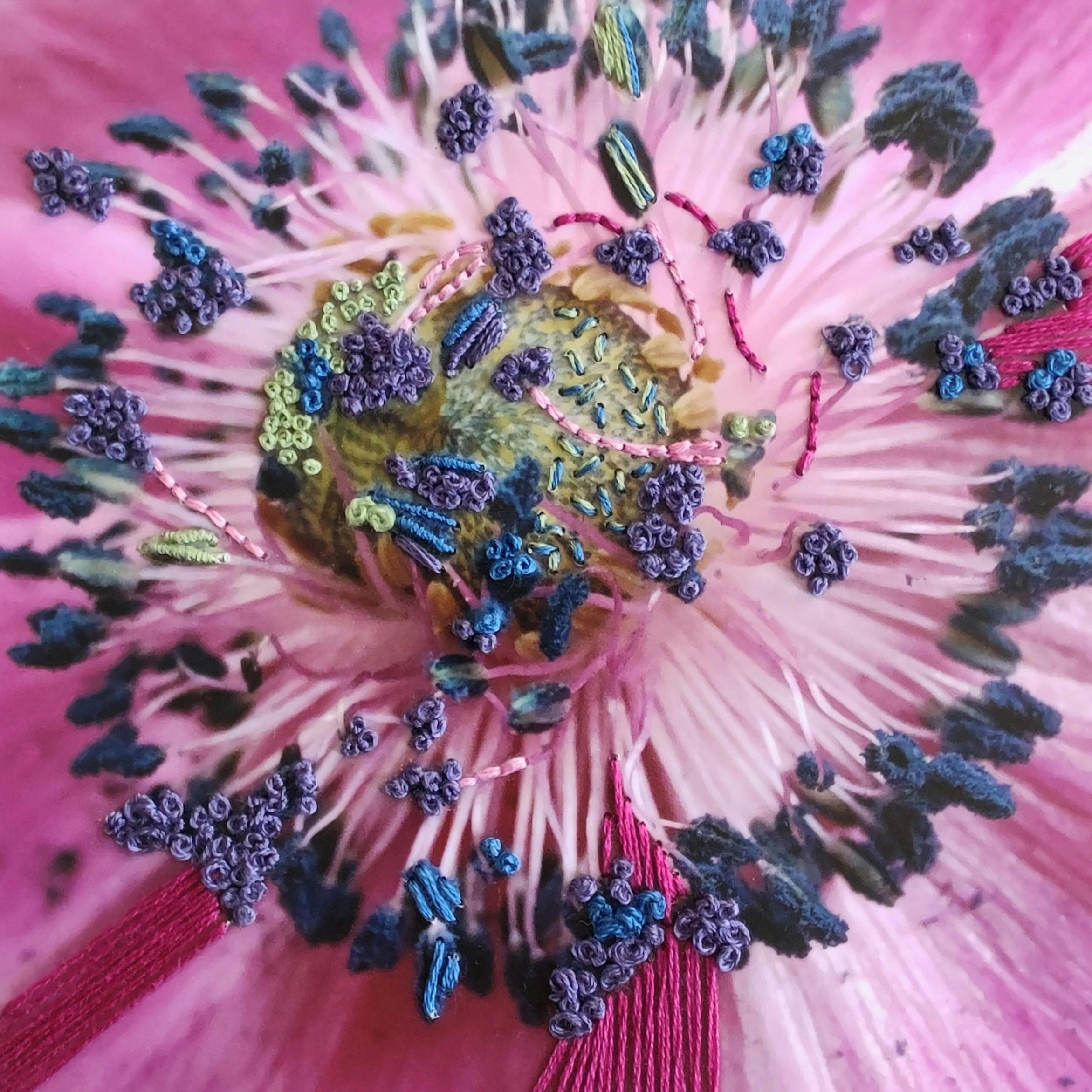 Flower Anatomy Photos, Download The BEST Free Flower Anatomy Stock ...