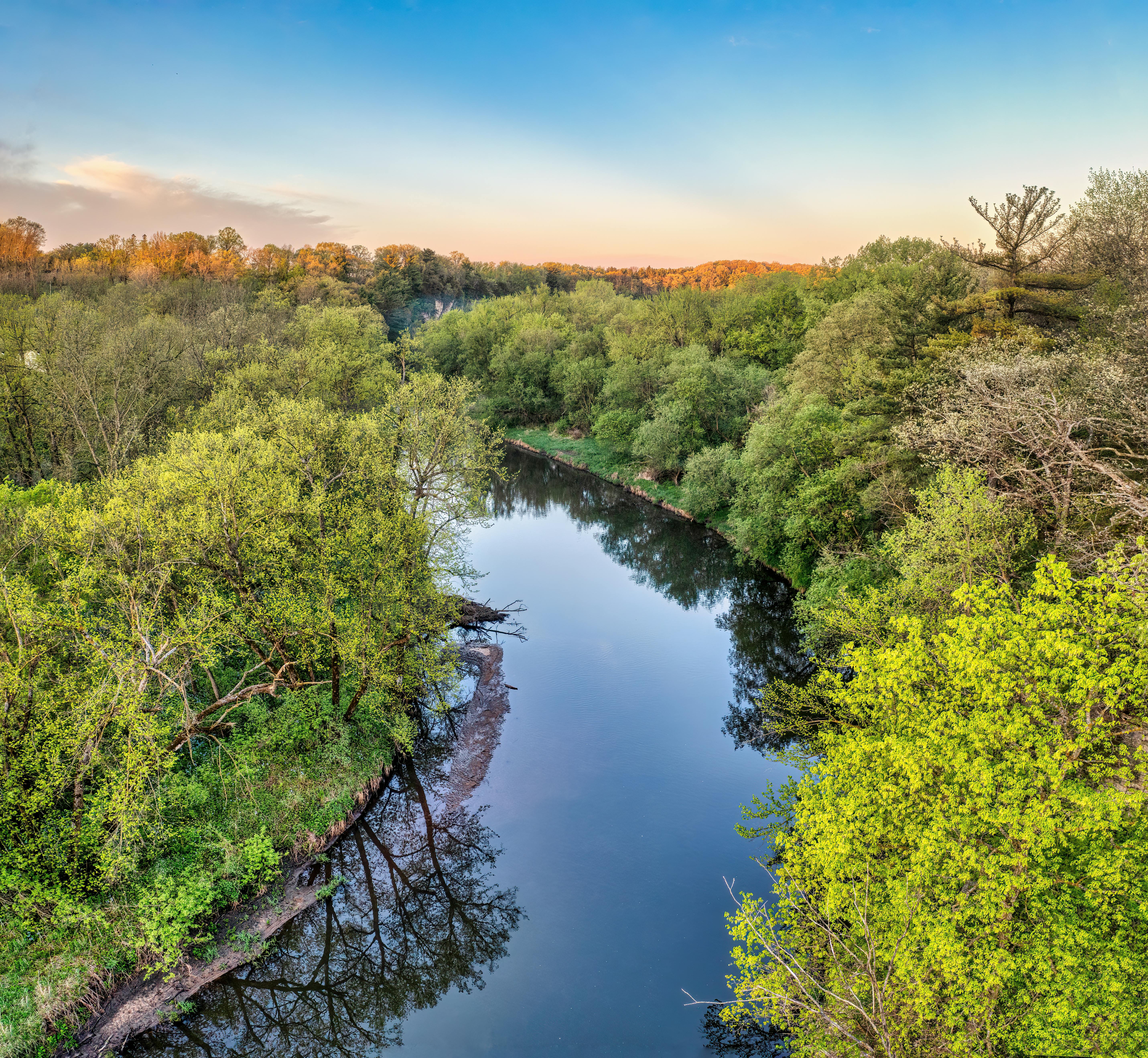 A River in a Forest · Free Stock Photo