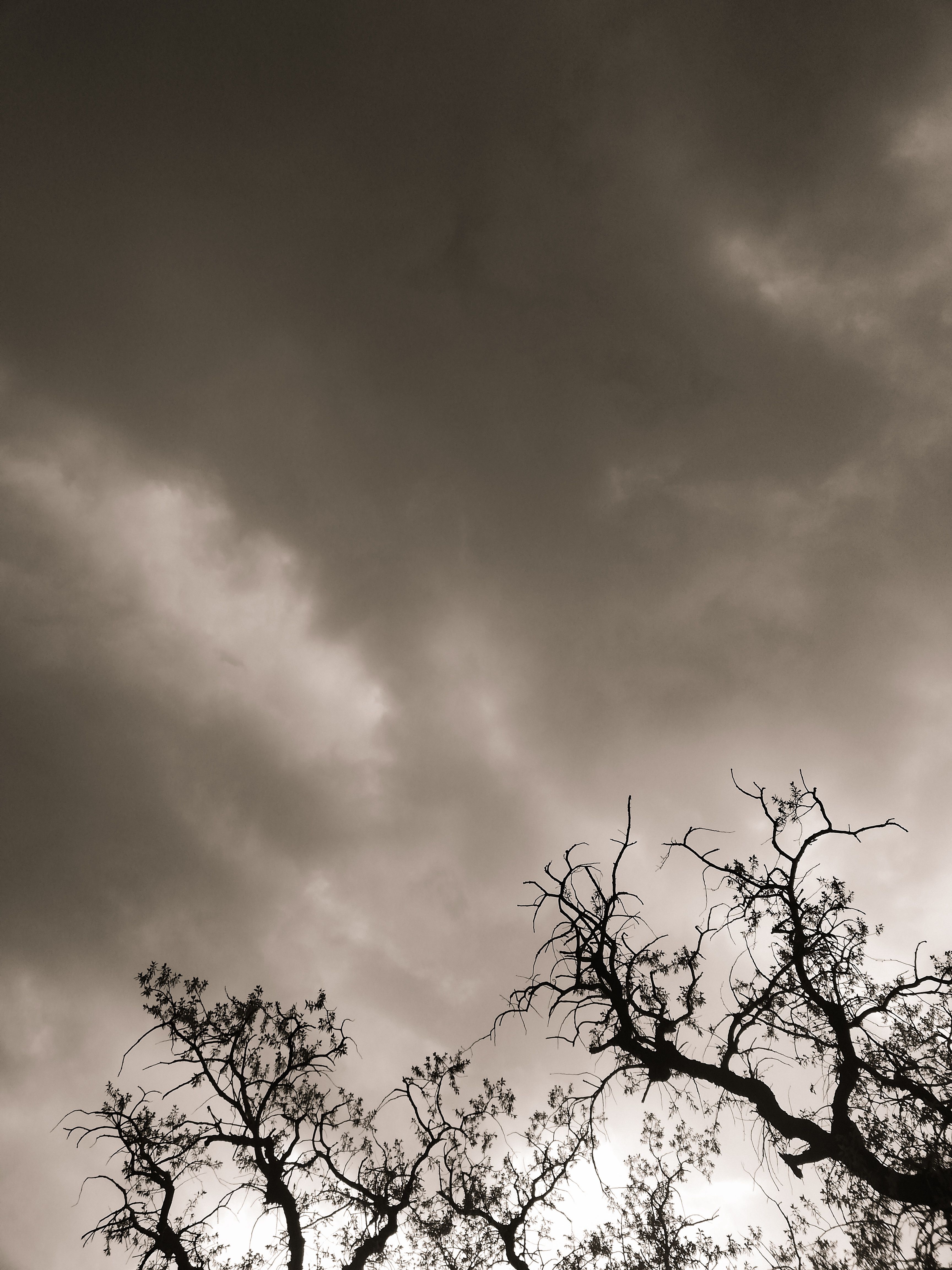 Circle in Darkness · Free Stock Photo