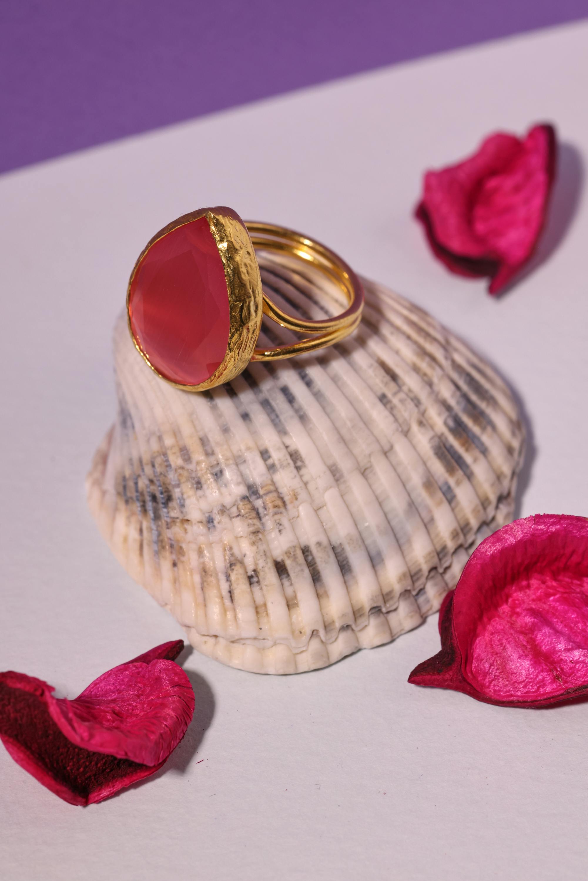 A RIng on a Shell · Free Stock Photo