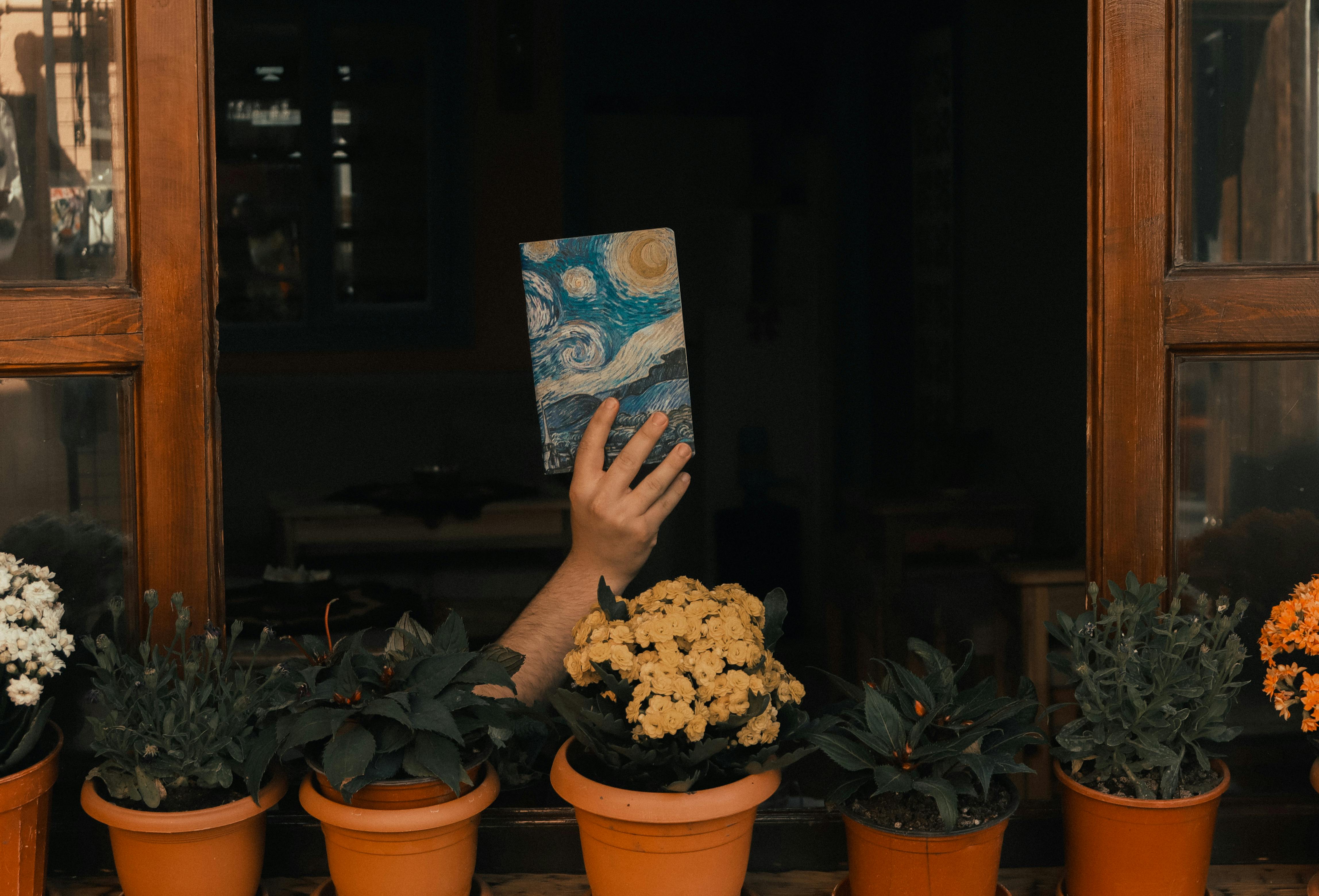 Spanish Window Photos, Download Free Spanish Window Stock Photos & HD ...