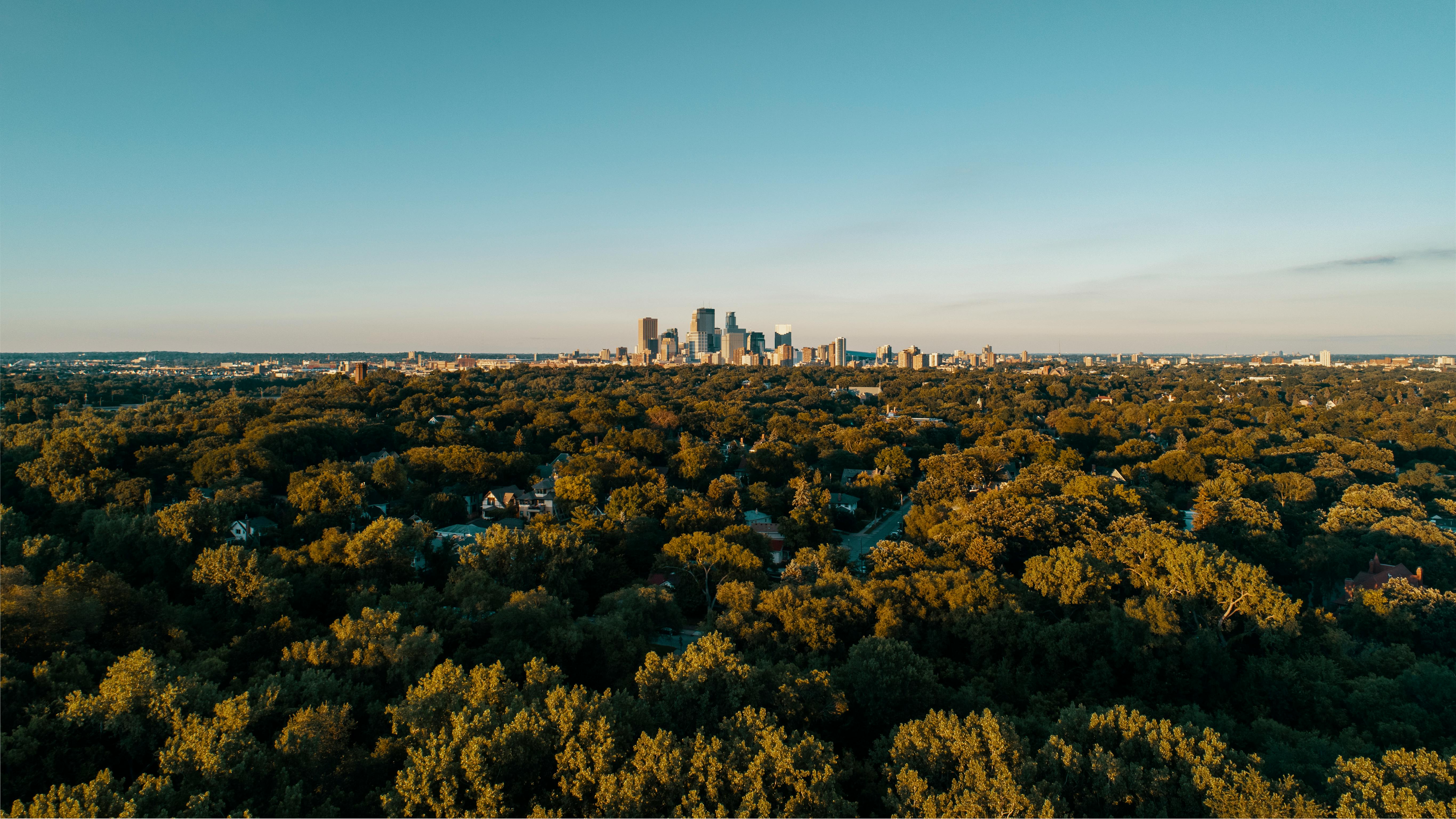 Aerial View Photography of Green Trees · Free Stock Photo
