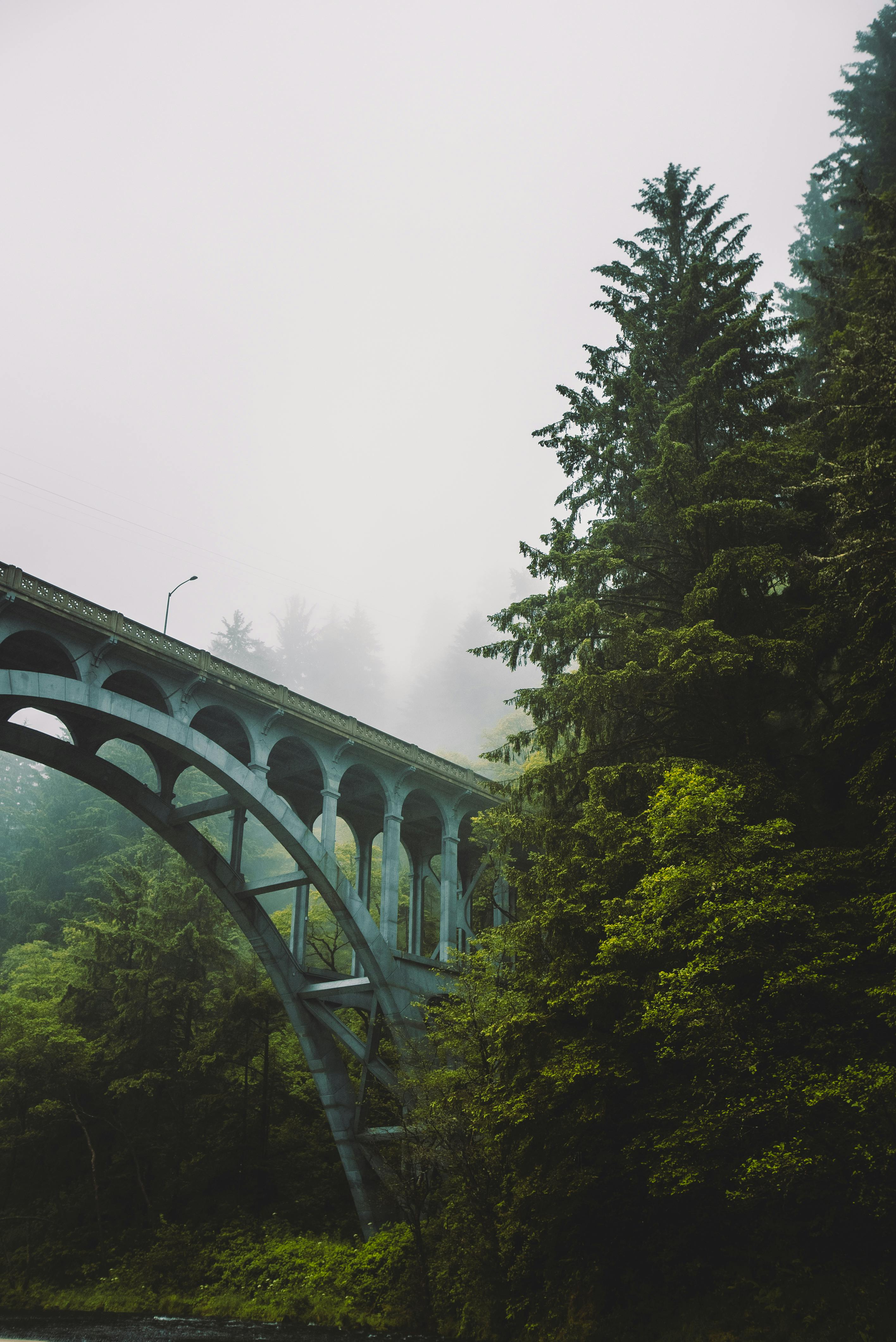 Green Trees Beside Concrete Bridge · Free Stock Photo