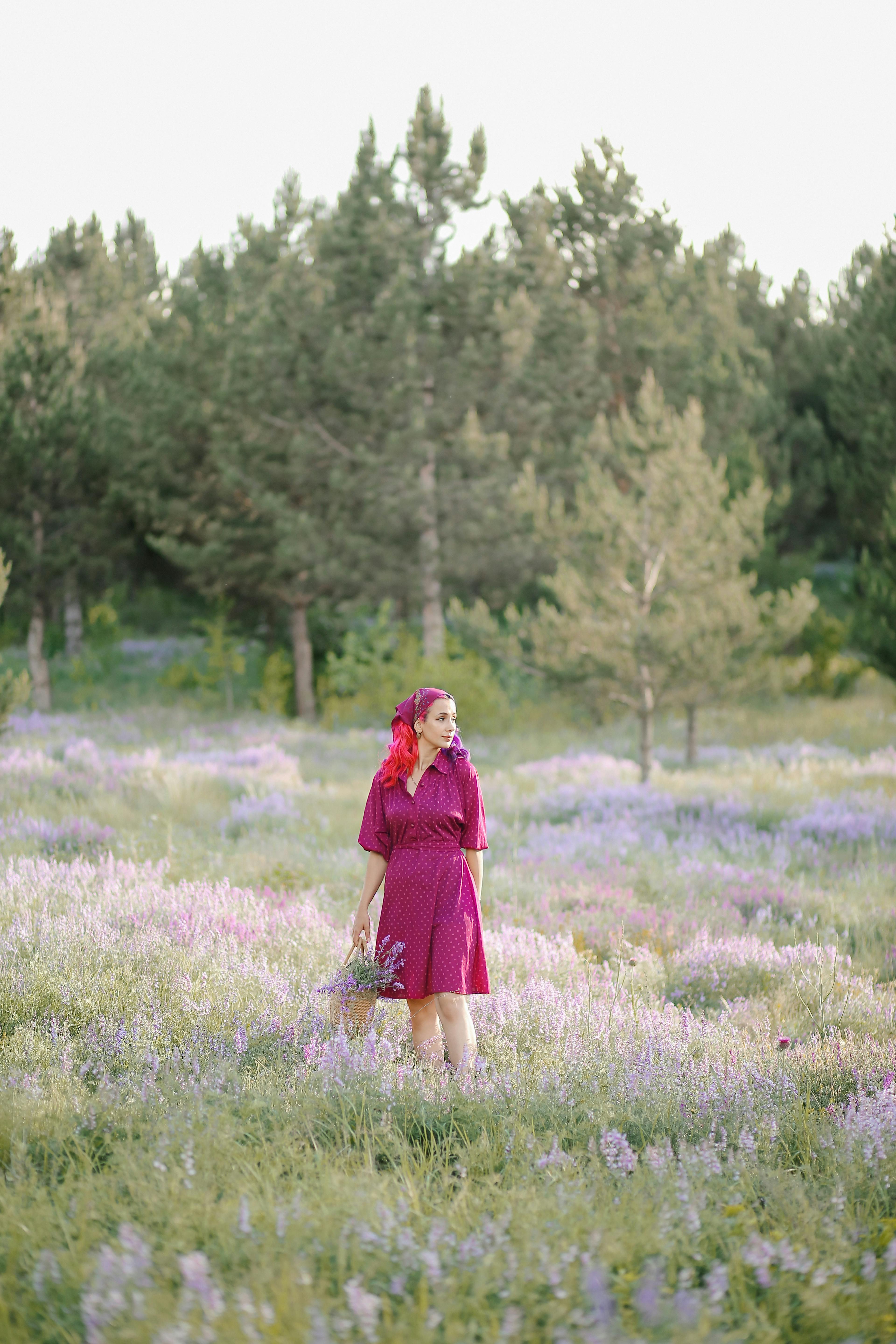 A Woman in a Meadow · Free Stock Photo