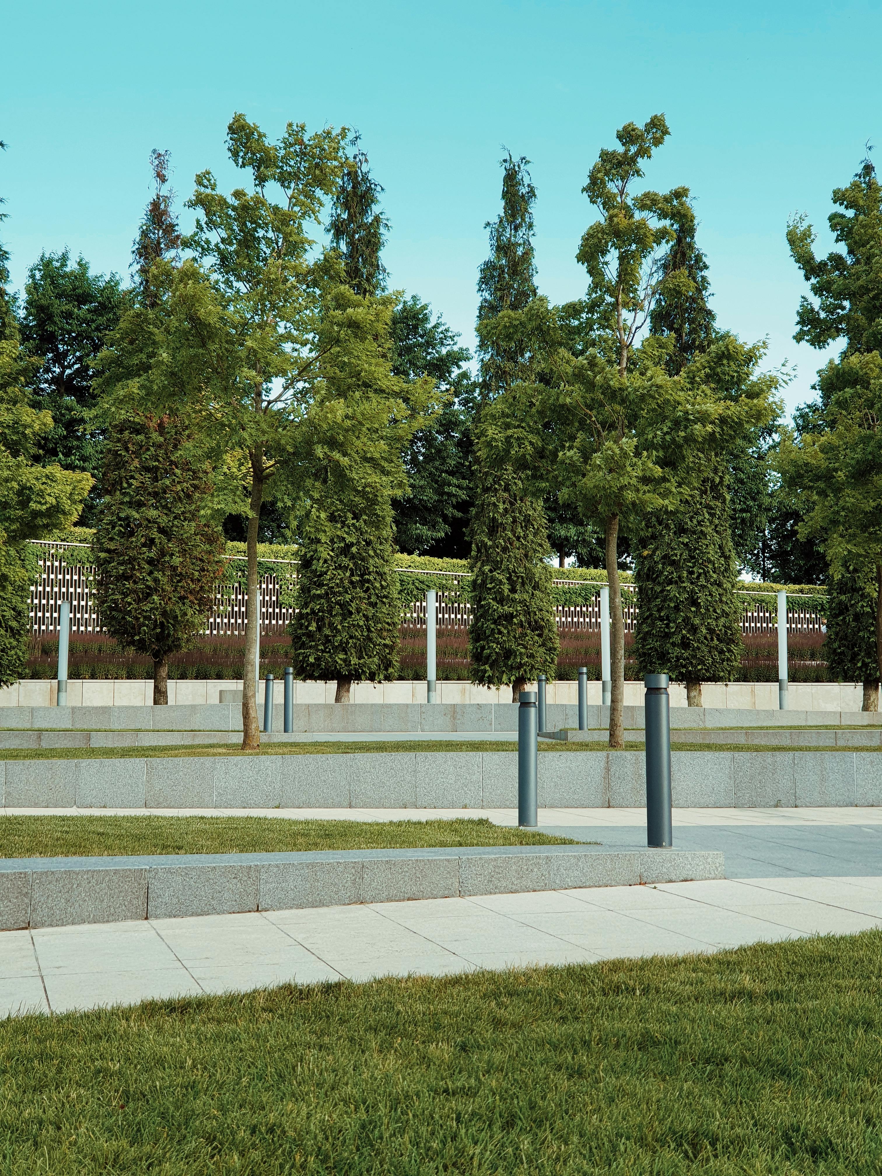 Photo of Person Walking Beside Trees · Free Stock Photo