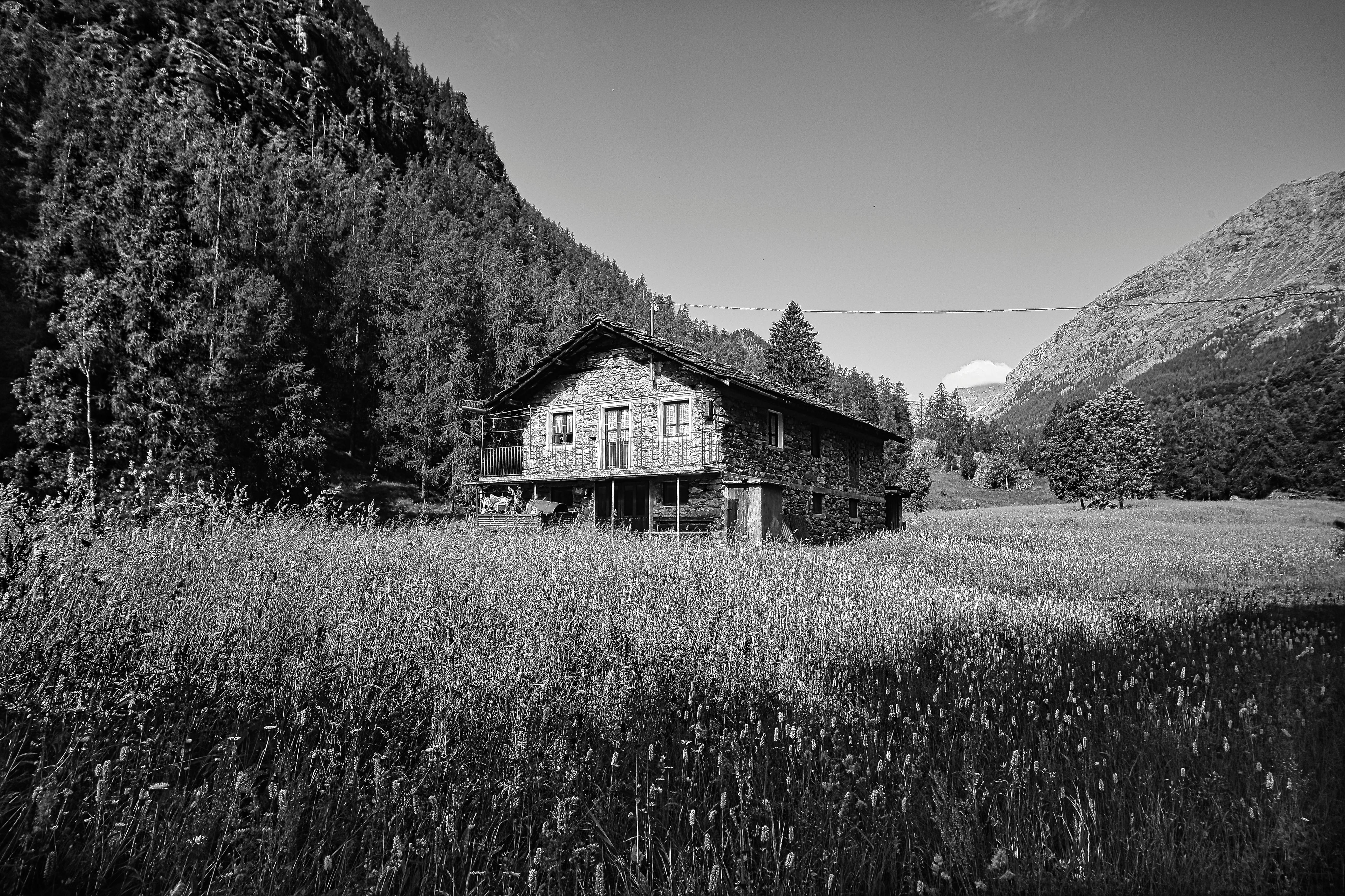 A Grayscale of a House in the Countryside · Free Stock Photo