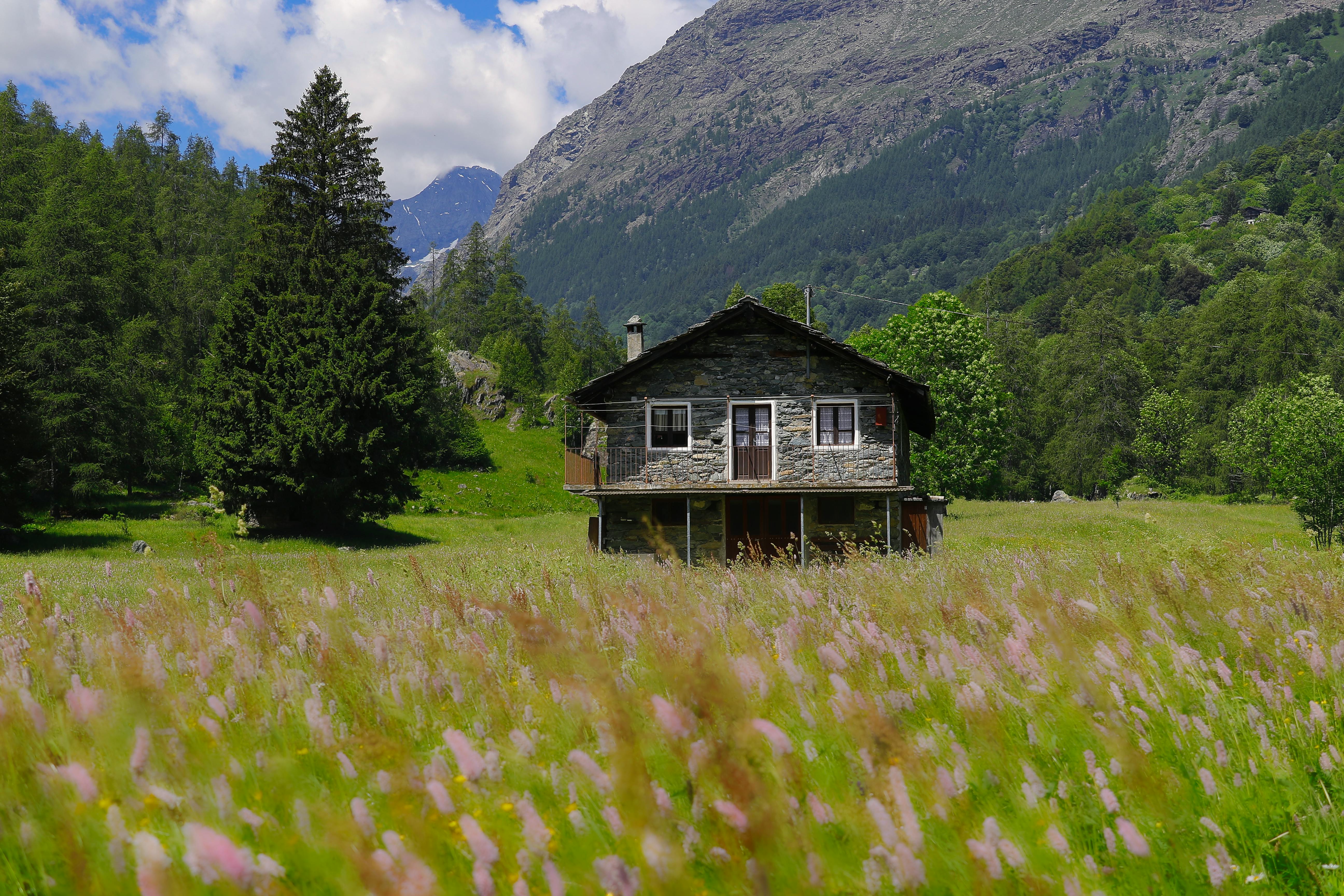 A Cabin in the Countryside · Free Stock Photo
