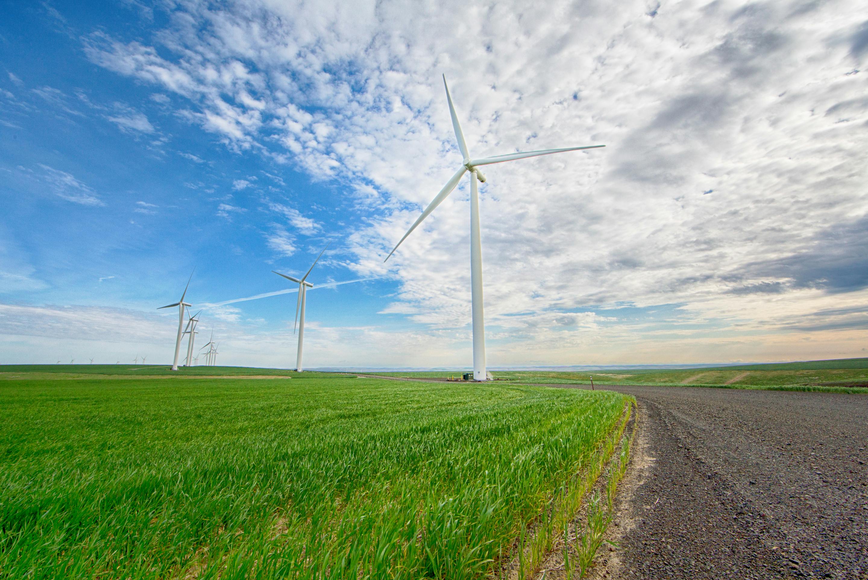 Jesse Zheng - Photography