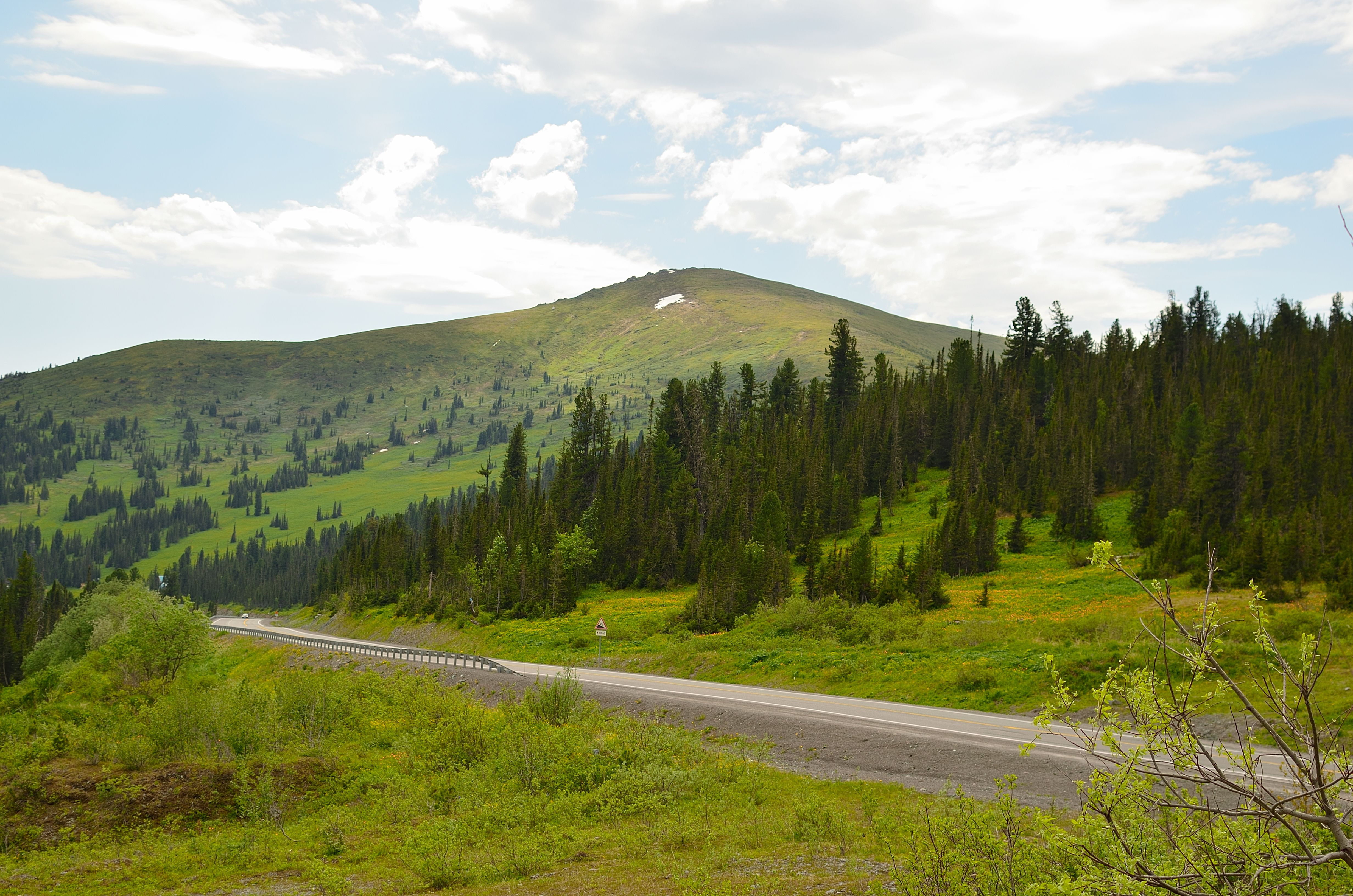 A Road in a Countryside · Free Stock Photo