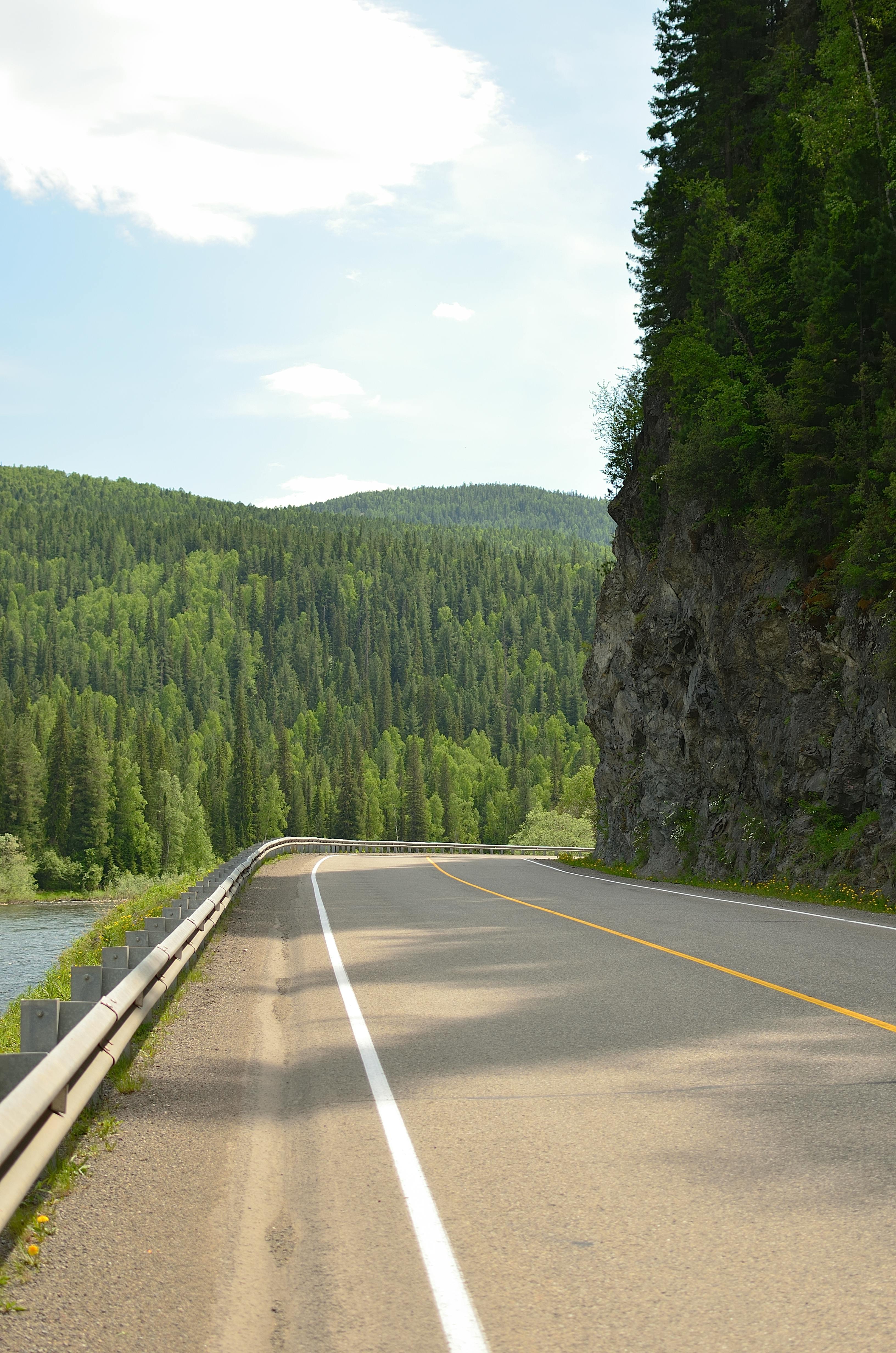 Gray Asphalt Road in Middle of Trees · Free Stock Photo