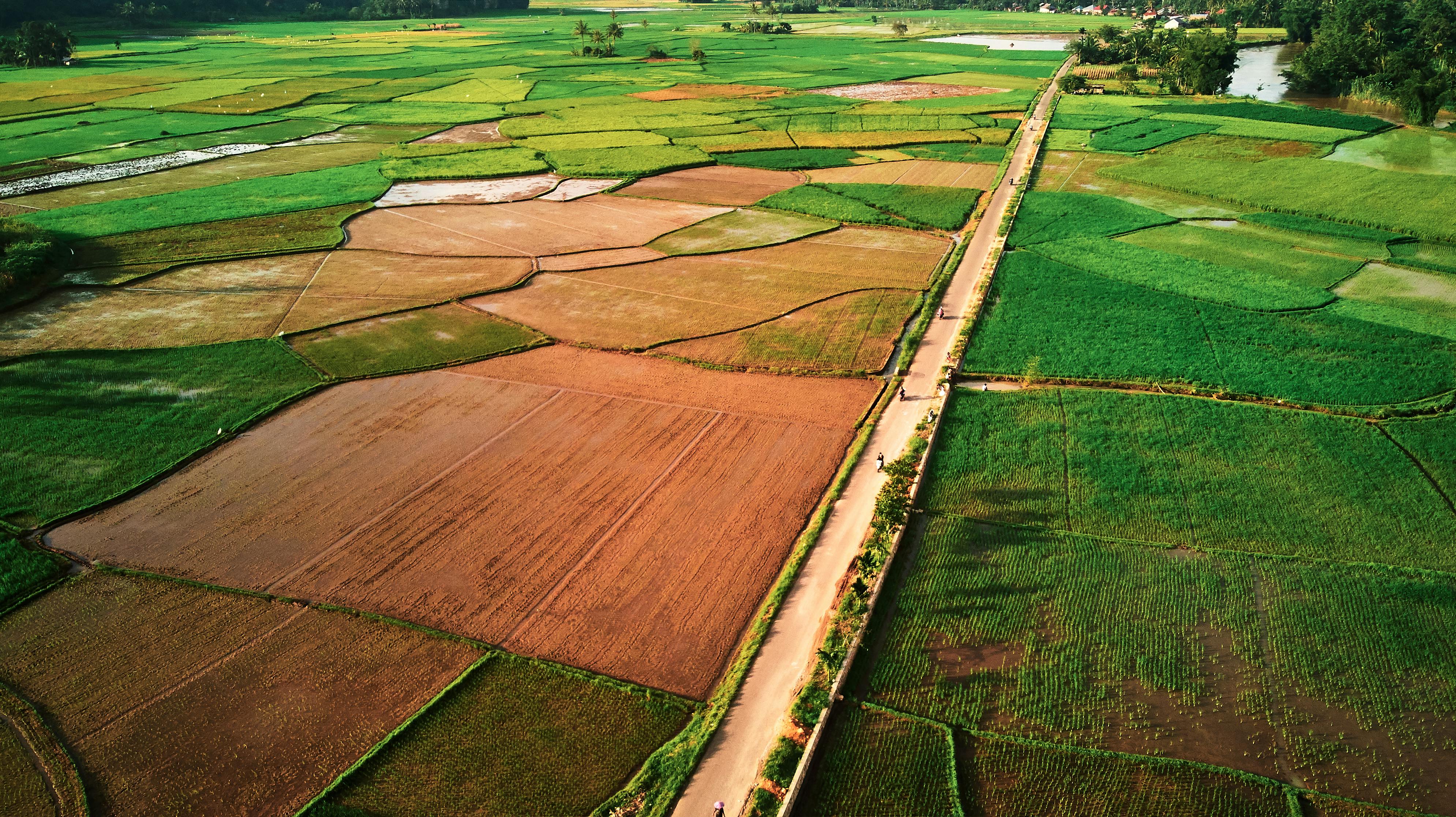 A Countryside Road Between the Farm Fields · Free Stock Photo