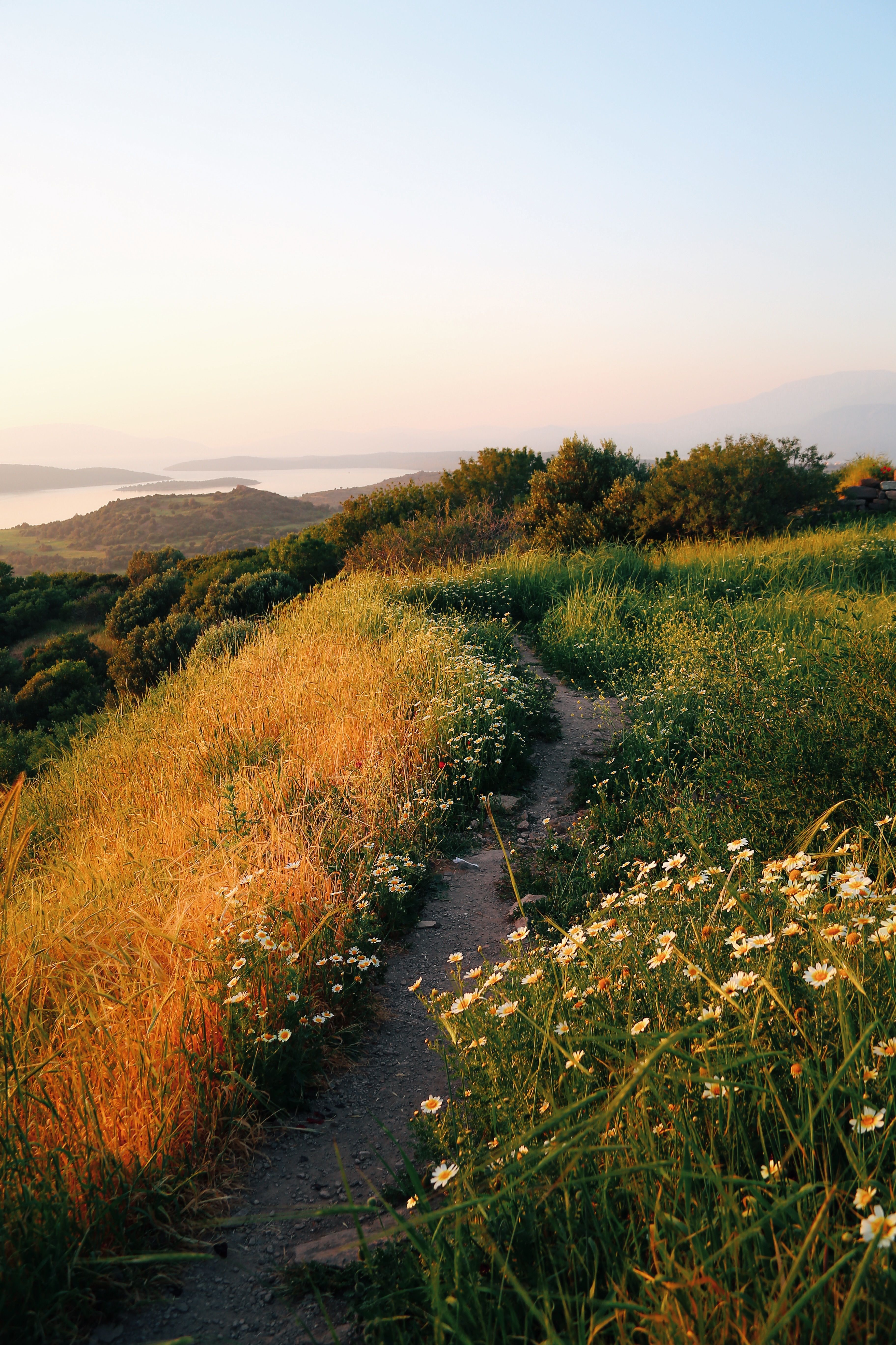 Footpath on top of the Hill · Free Stock Photo