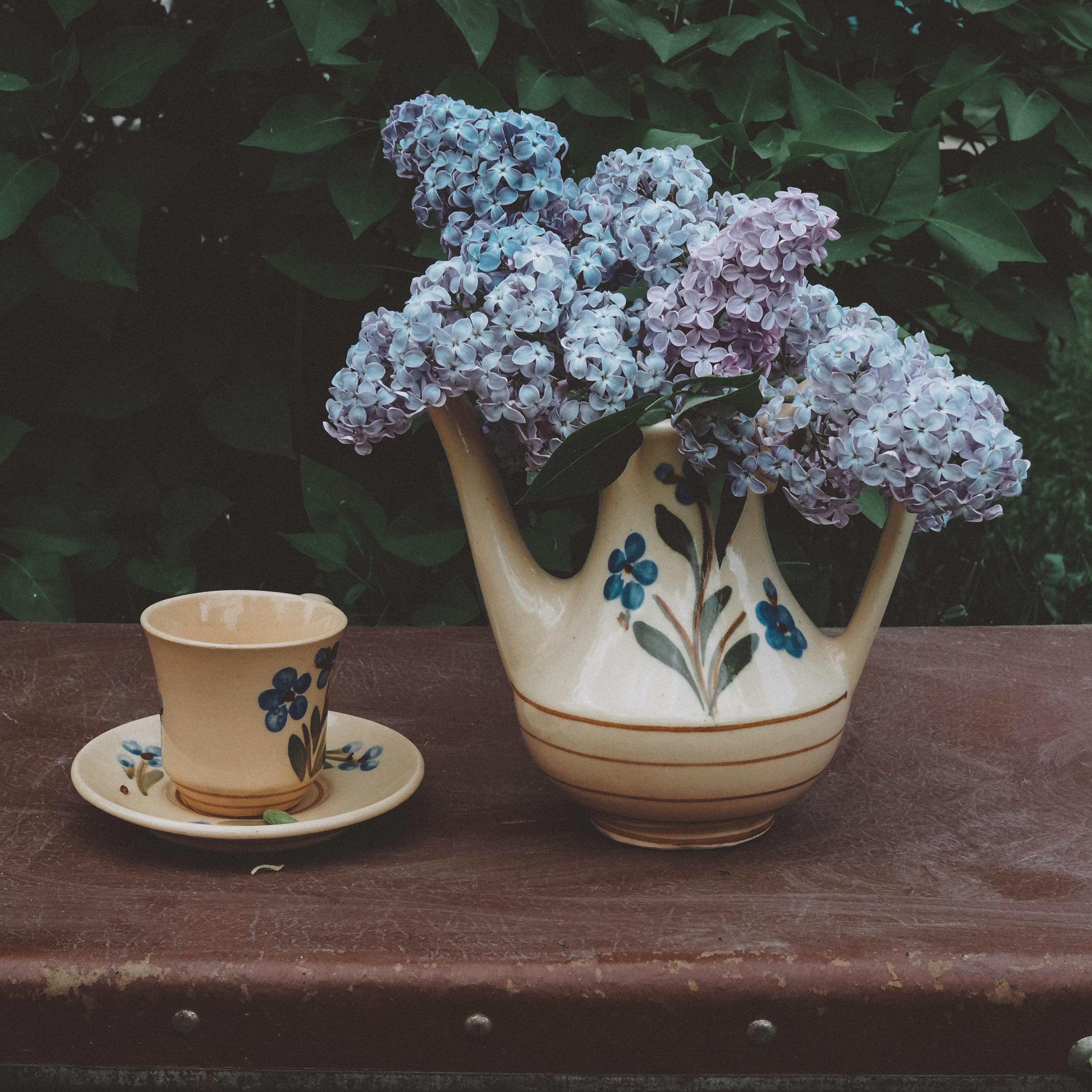 Lilac Flowers in Jug · Free Stock Photo
