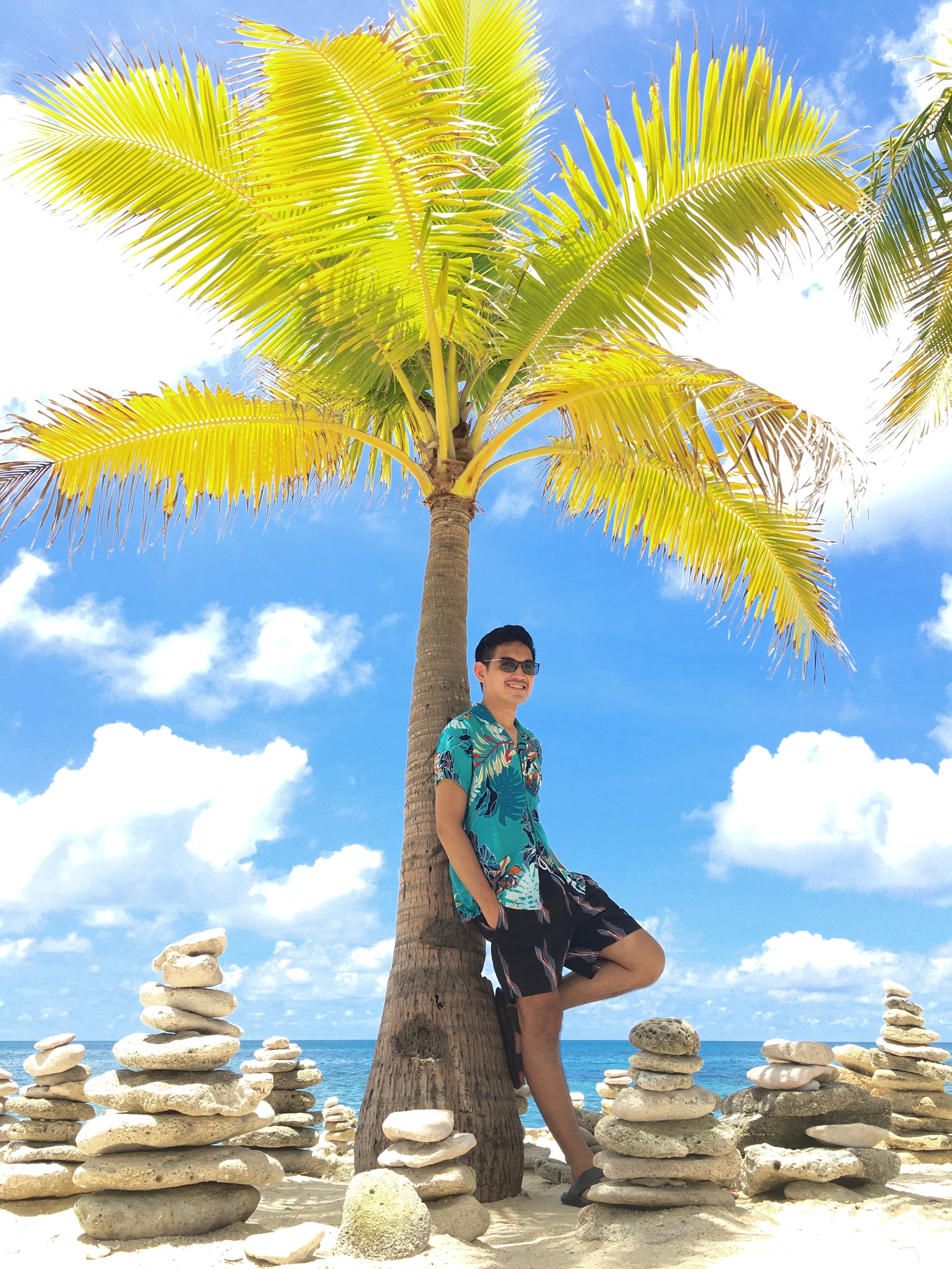 A Man Leaning on a Palm Tree · Free Stock Photo