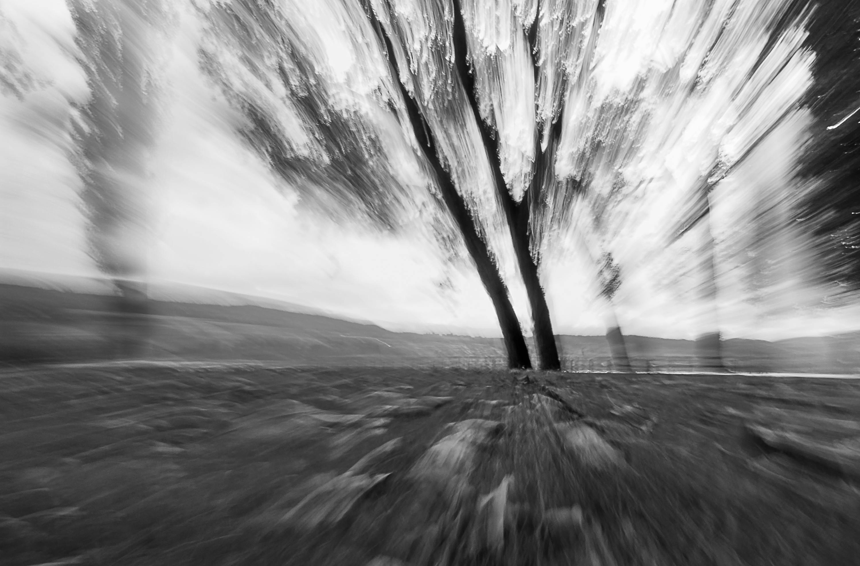 Peter Fenner - 사진