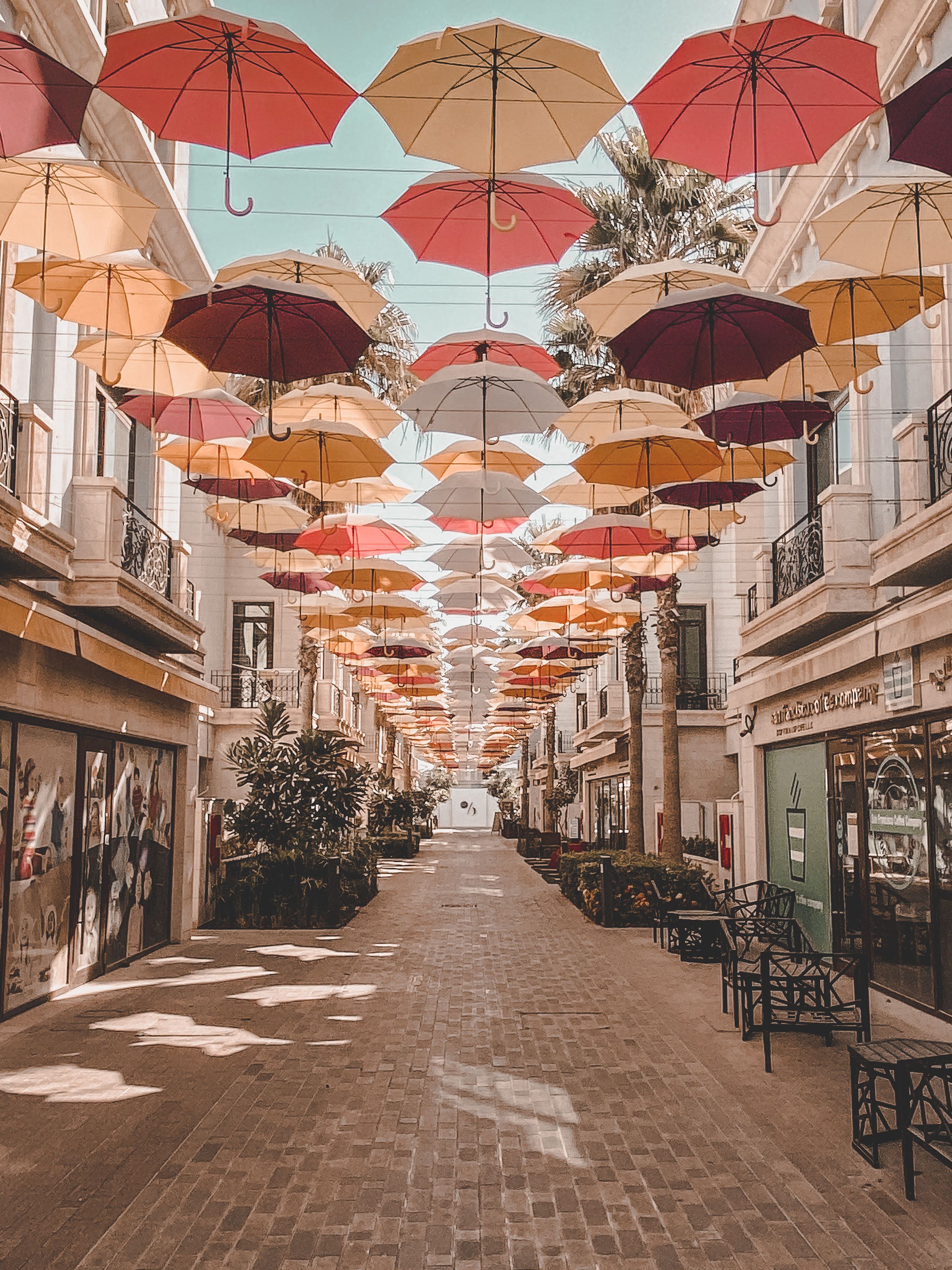 Umbrellas over Alley in Town · Free Stock Photo