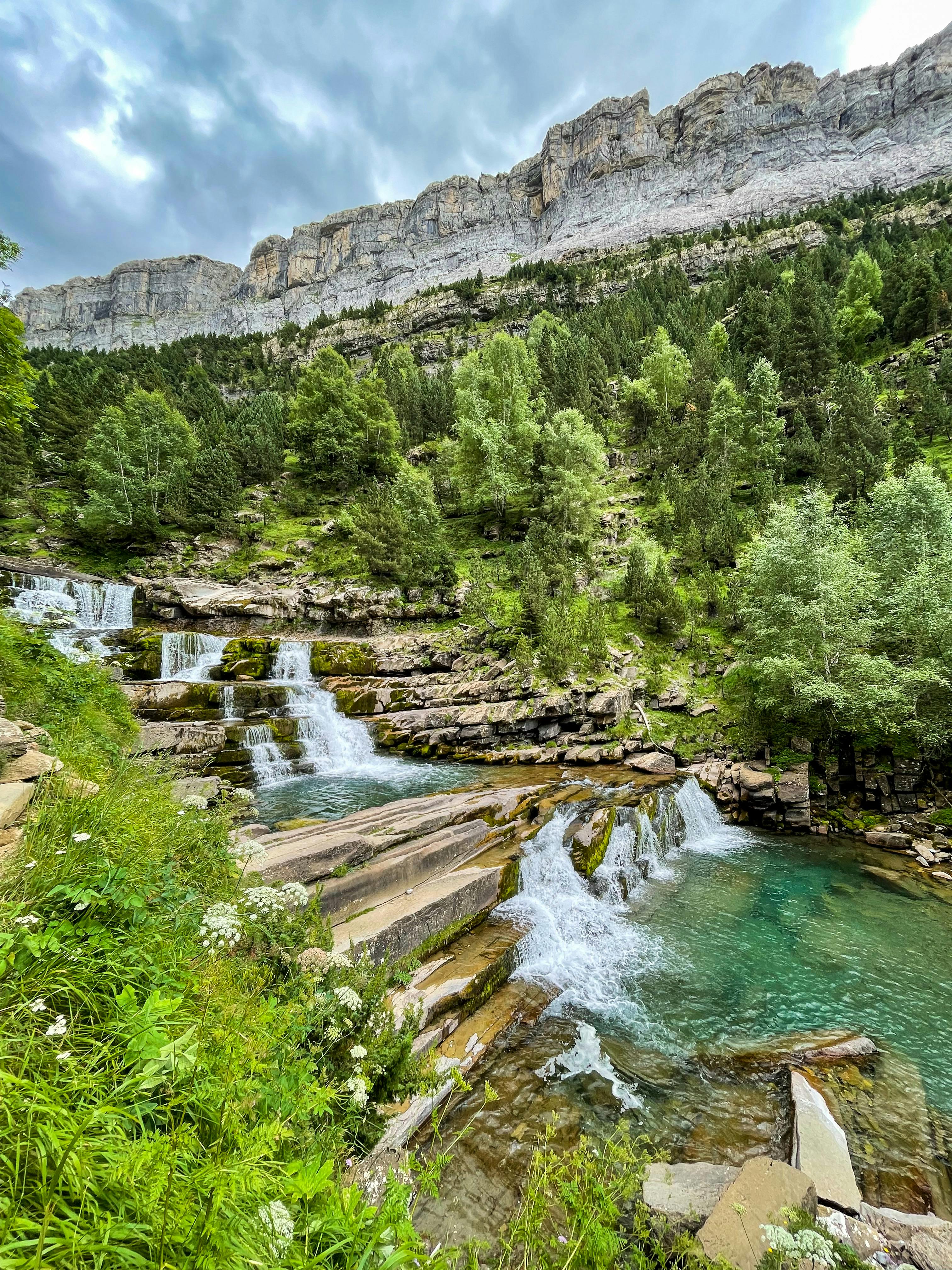 Stream Flowing Through Rocks in Forest · Free Stock Photo