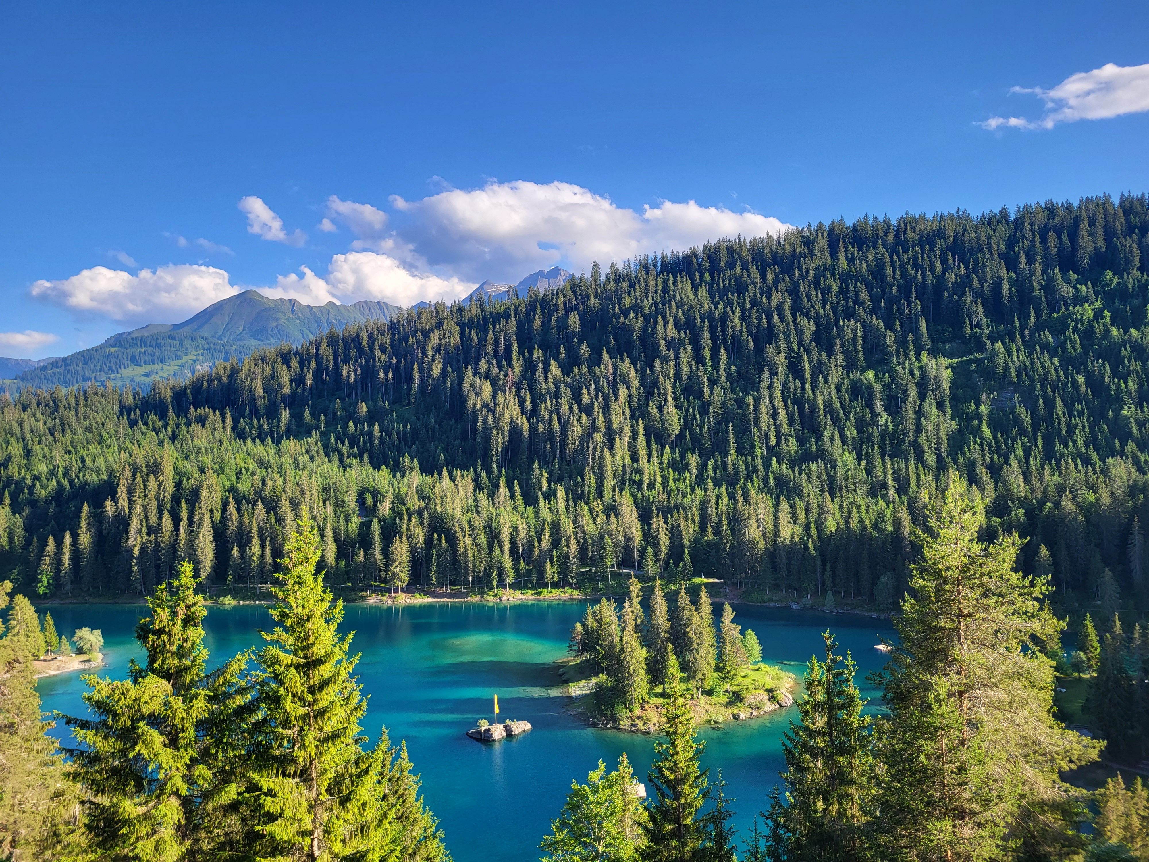 Scenic View of Forest and Hills Surrounding a Lake · Free Stock Photo