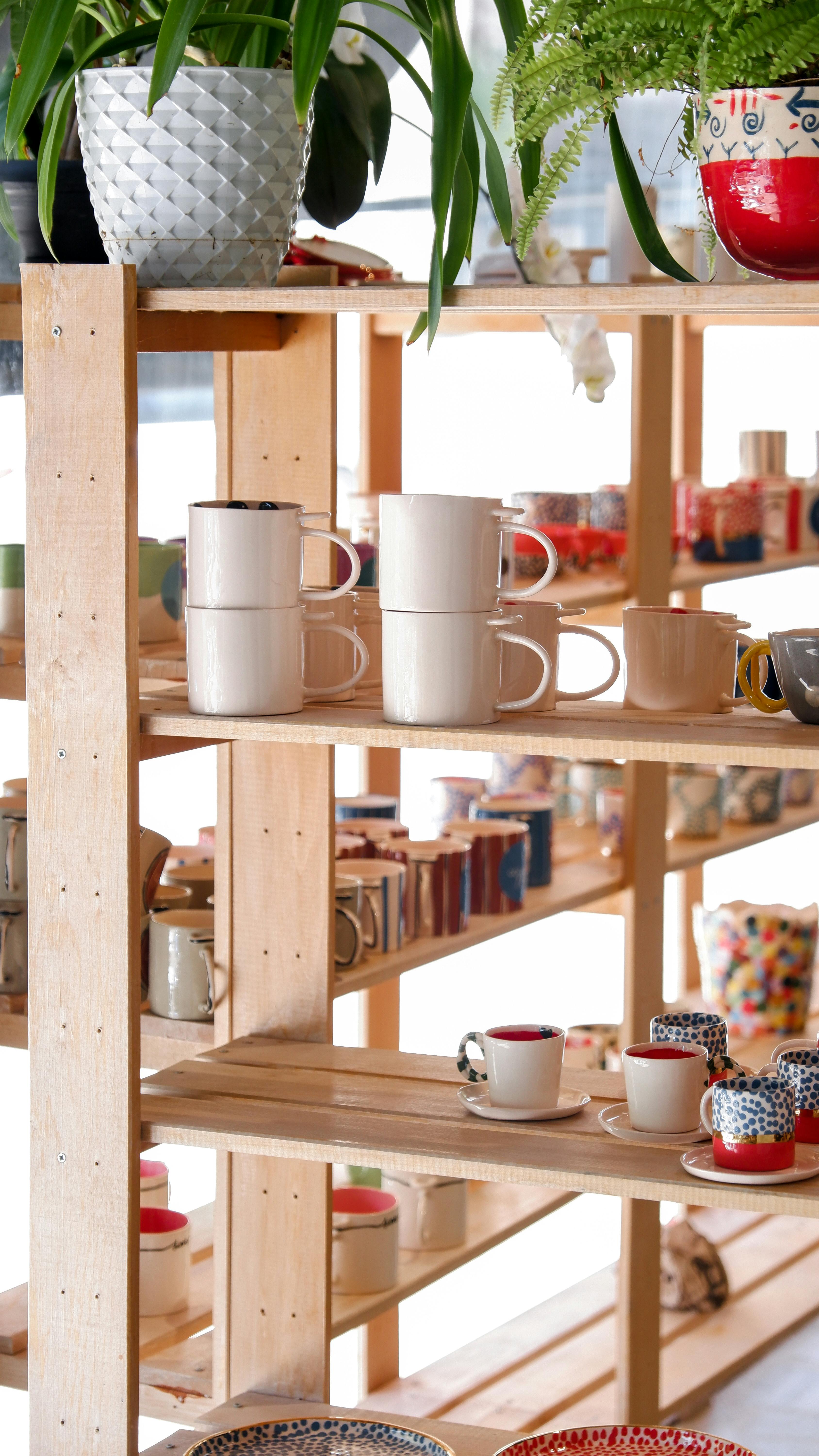 Collection of Cups and Mugs · Free Stock Photo