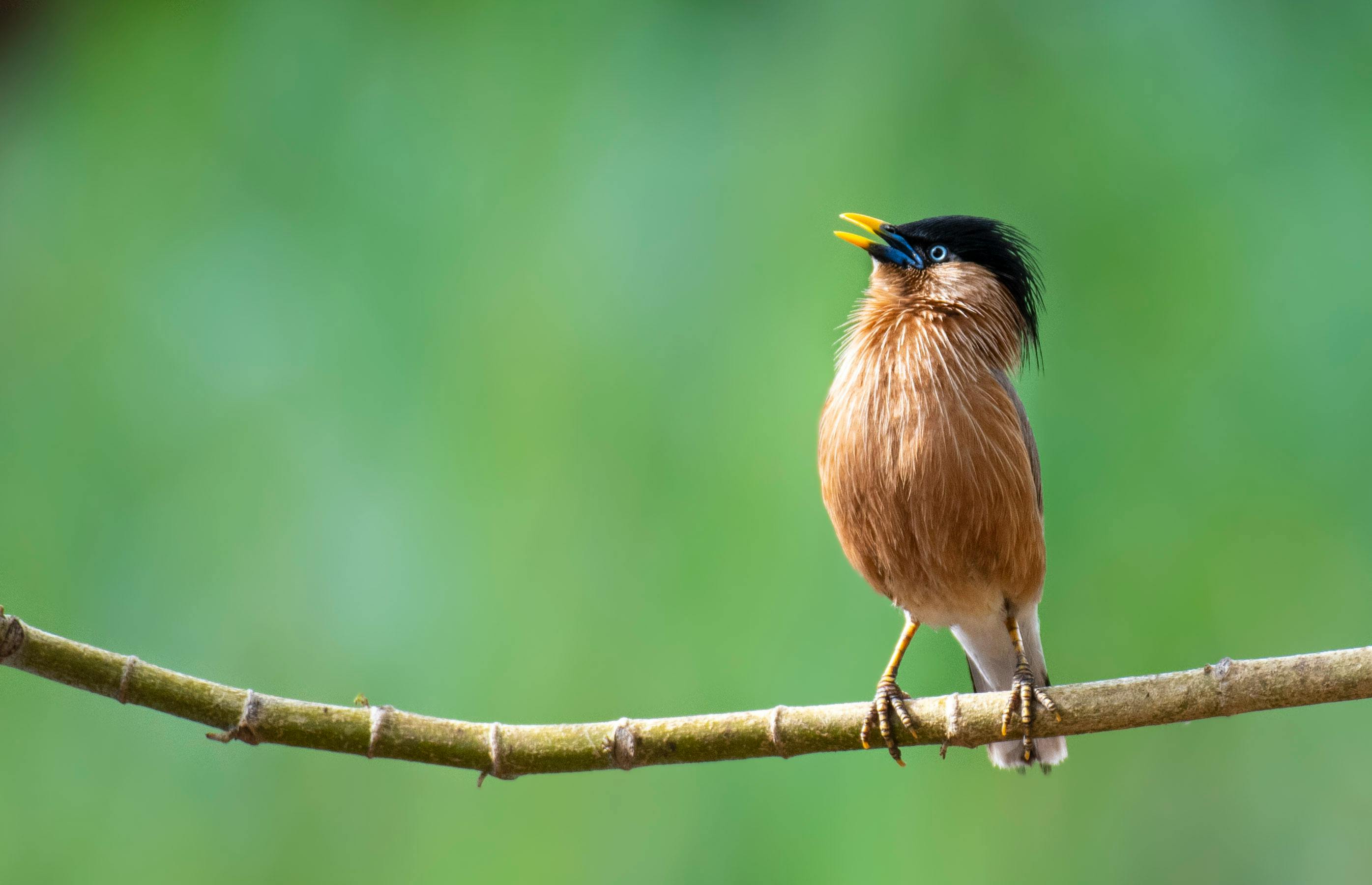 106+ Best Free Monsoon Stock Photos & Images · 100% Royalty-Free HD ...