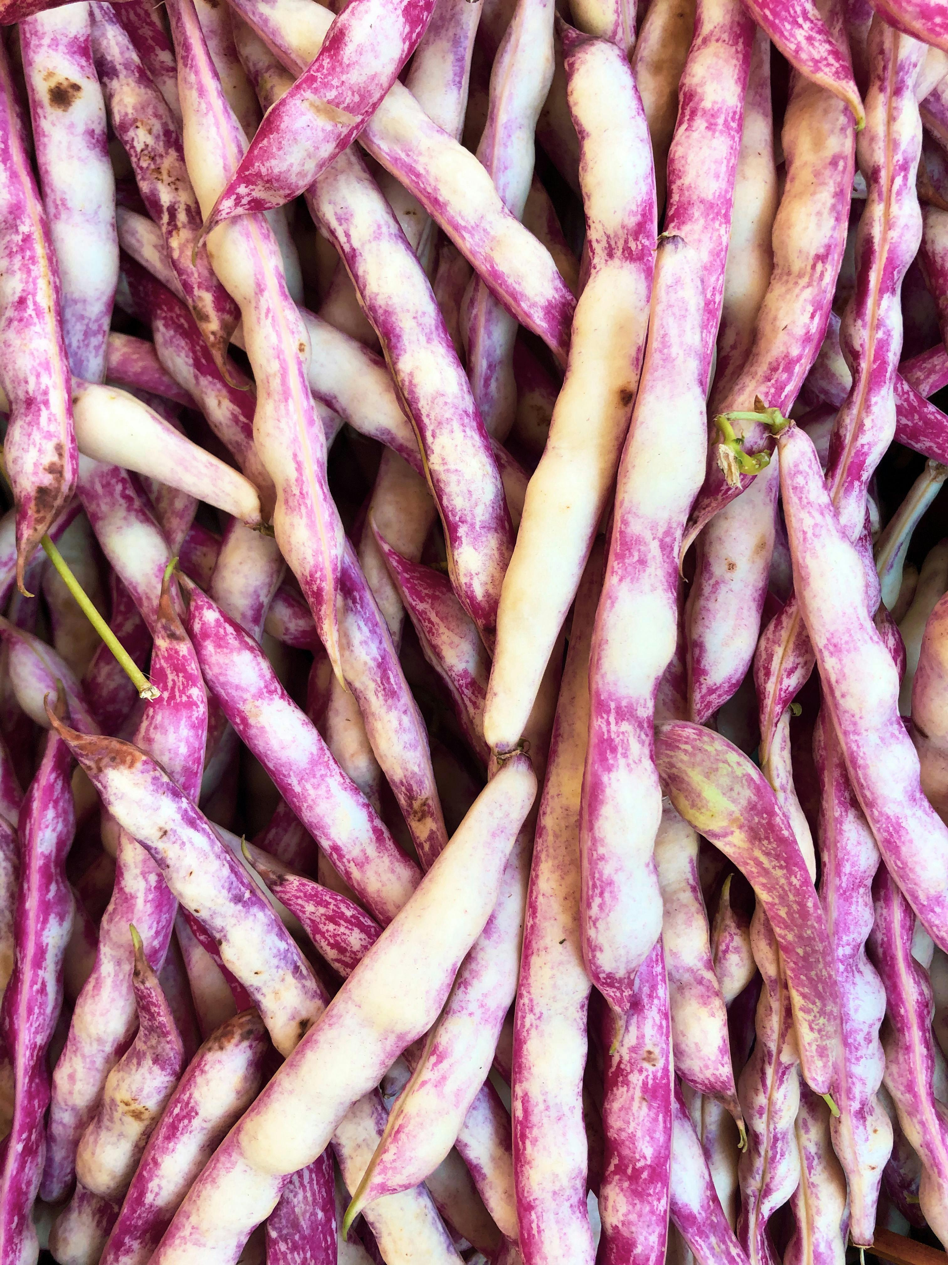 Close-up Photo of Shelling Beans · Free Stock Photo