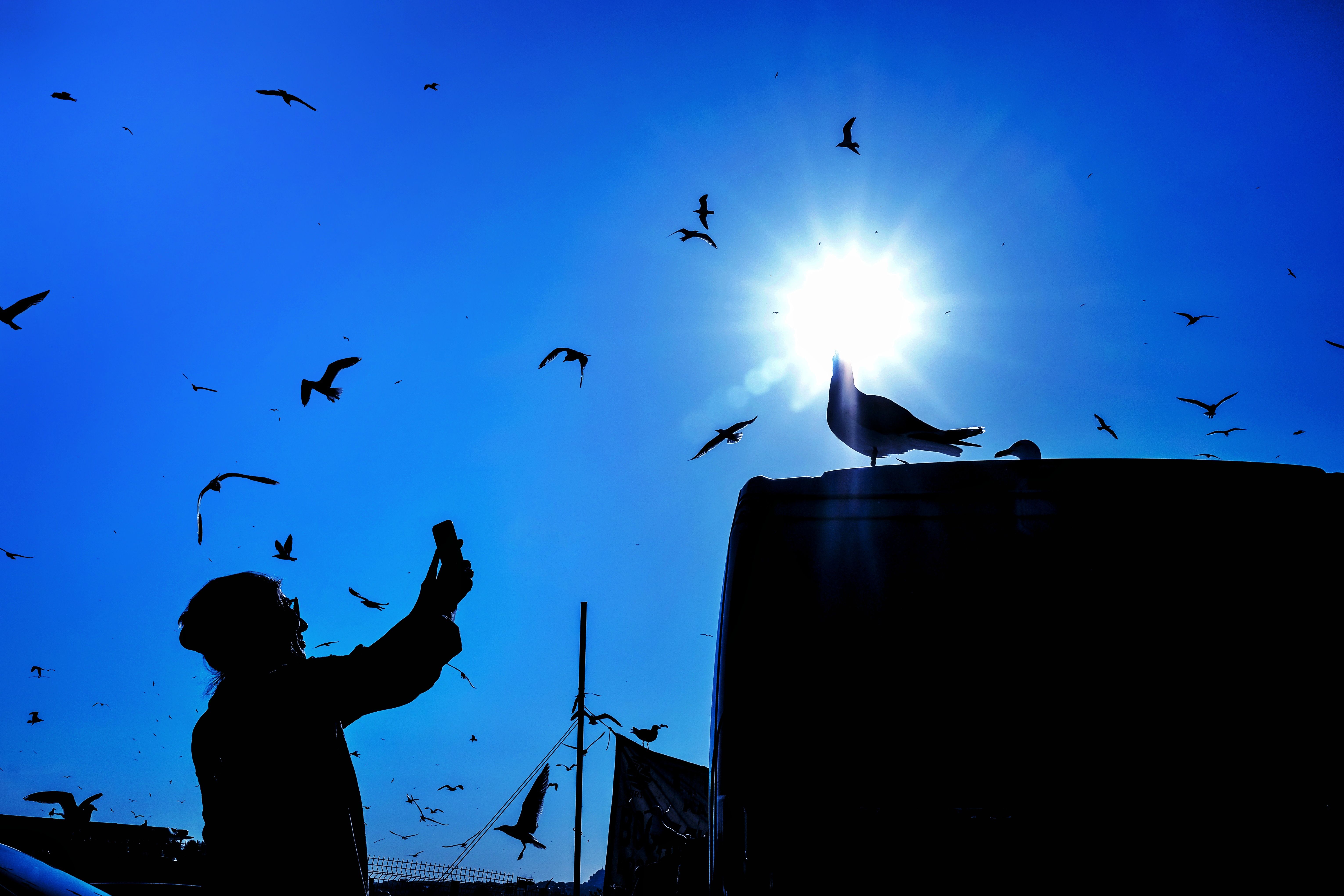 Silhouette of Man Sitting during Sunset · Free Stock Photo