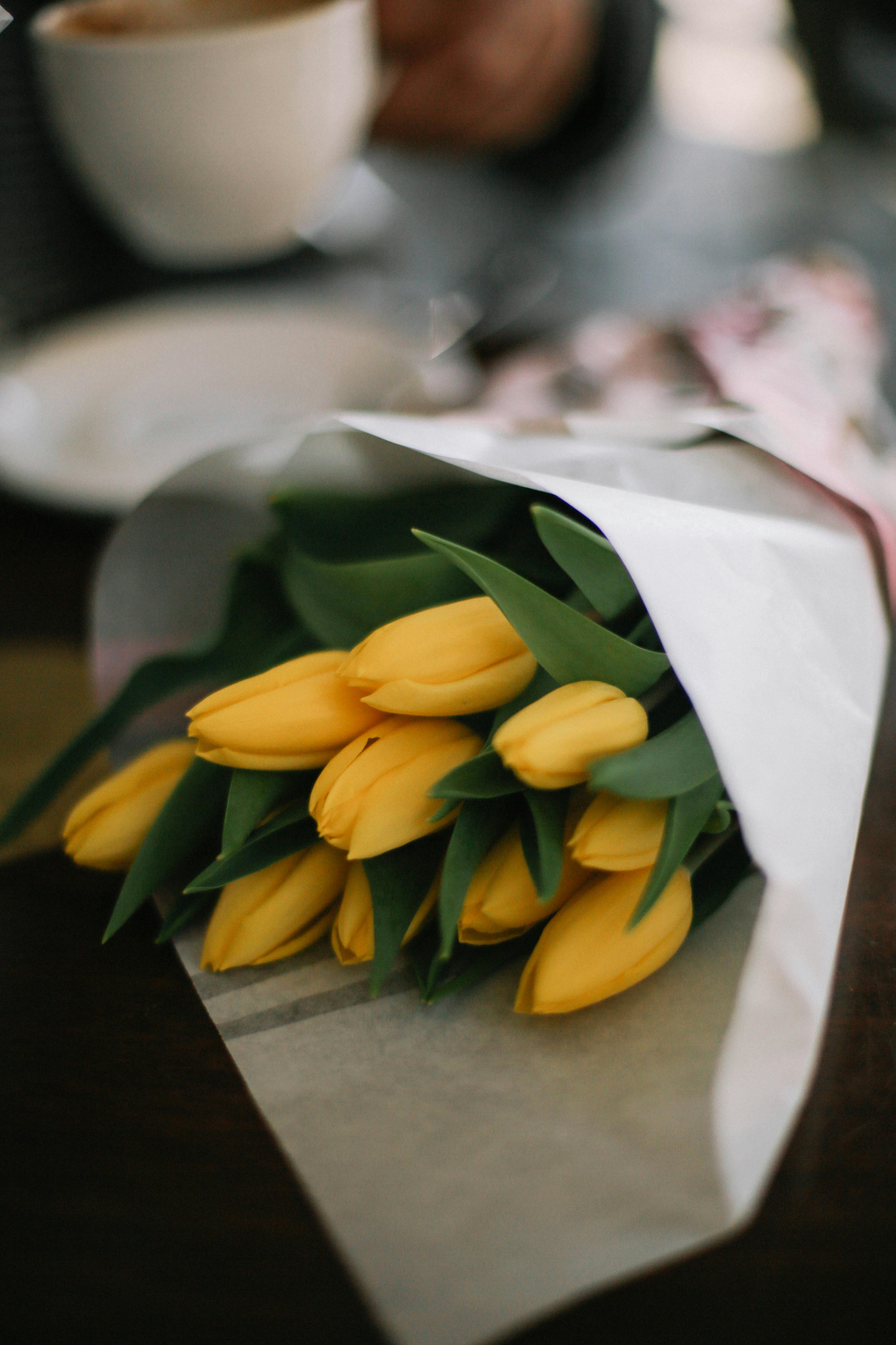 Yellow Flower in a Tilt Shift Lens · Free Stock Photo