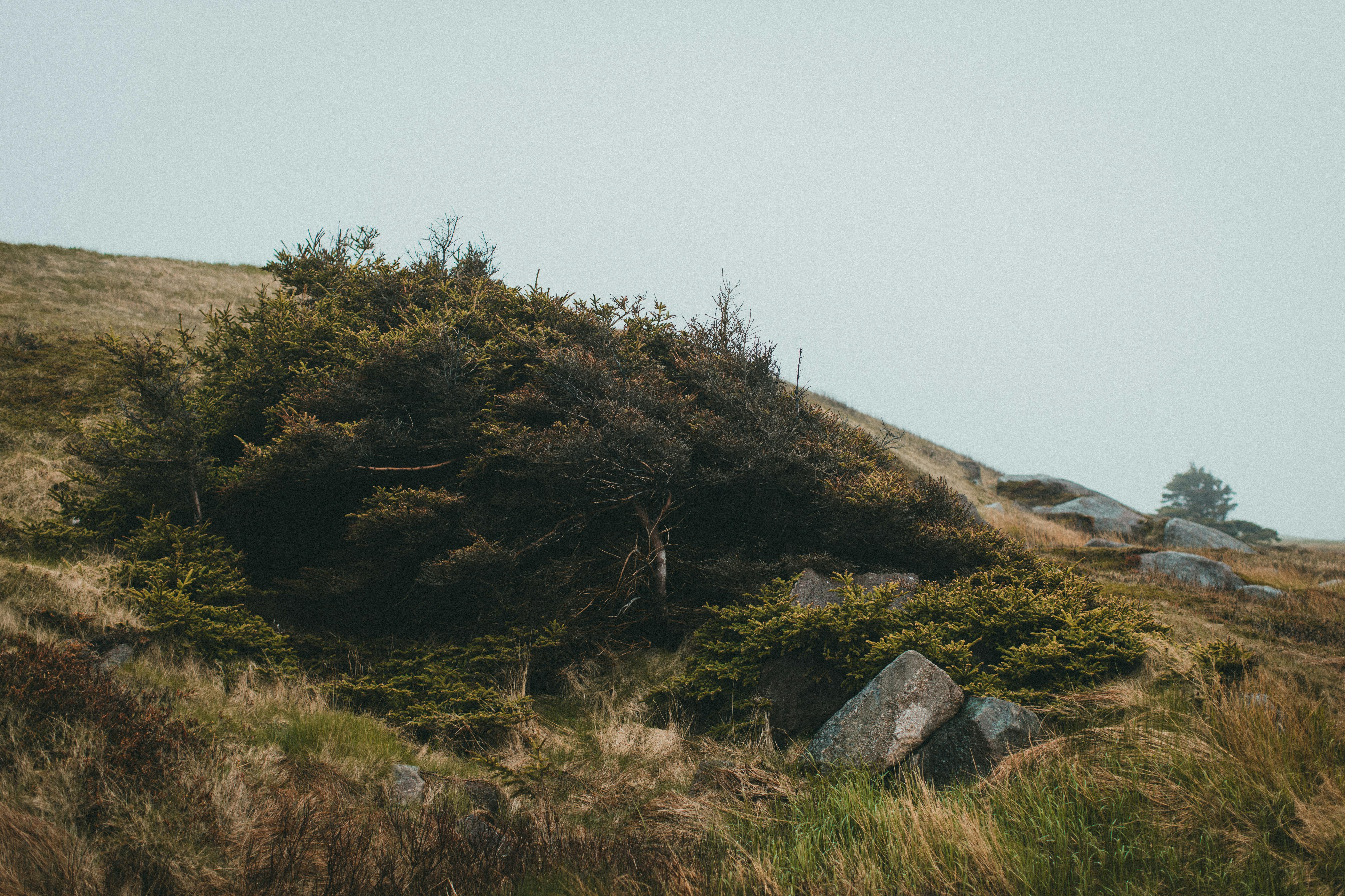 Green Hill with Rocks in Nature · Free Stock Photo