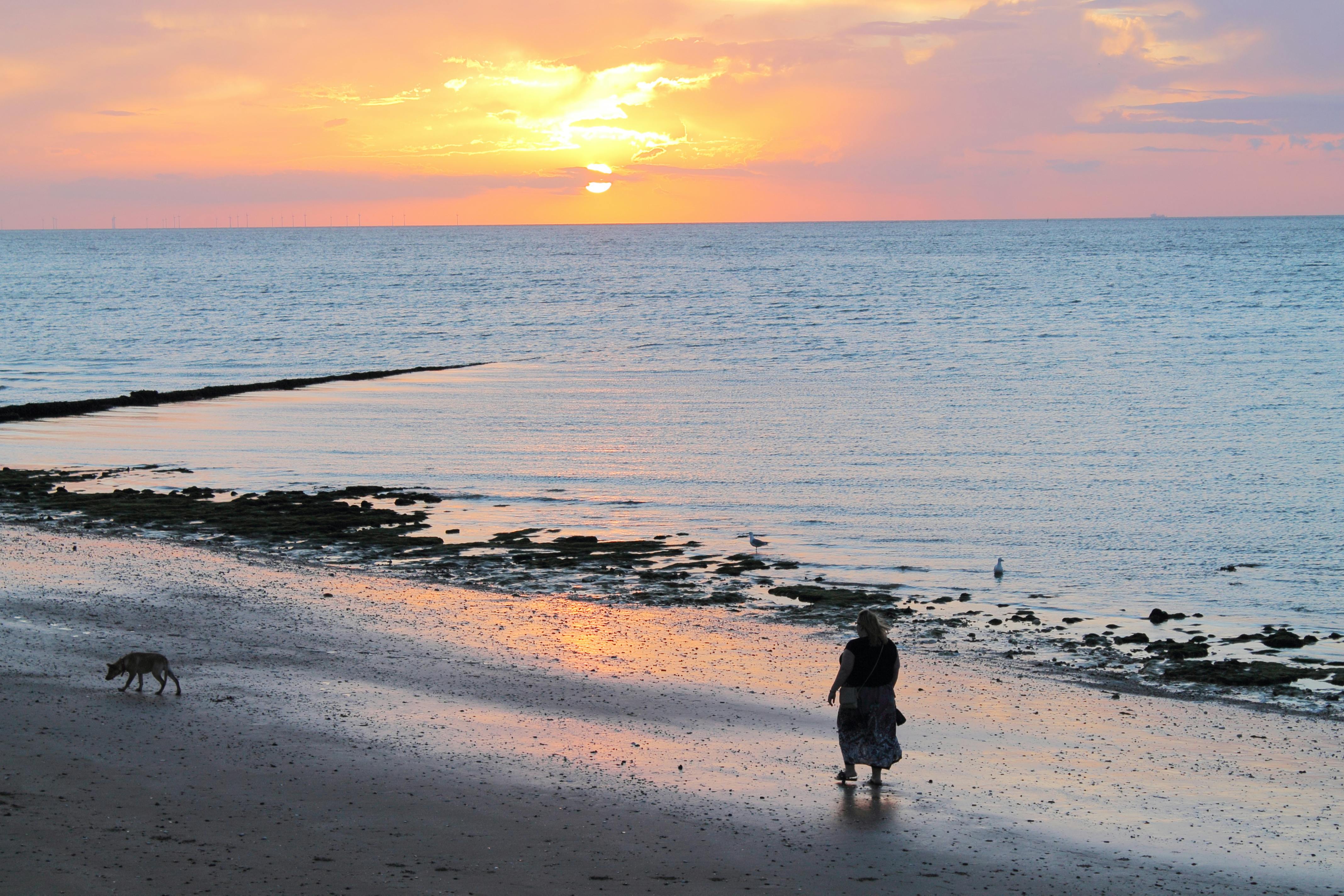 Person Walking on Beach with a Dog During Sunset · Free Stock Photo