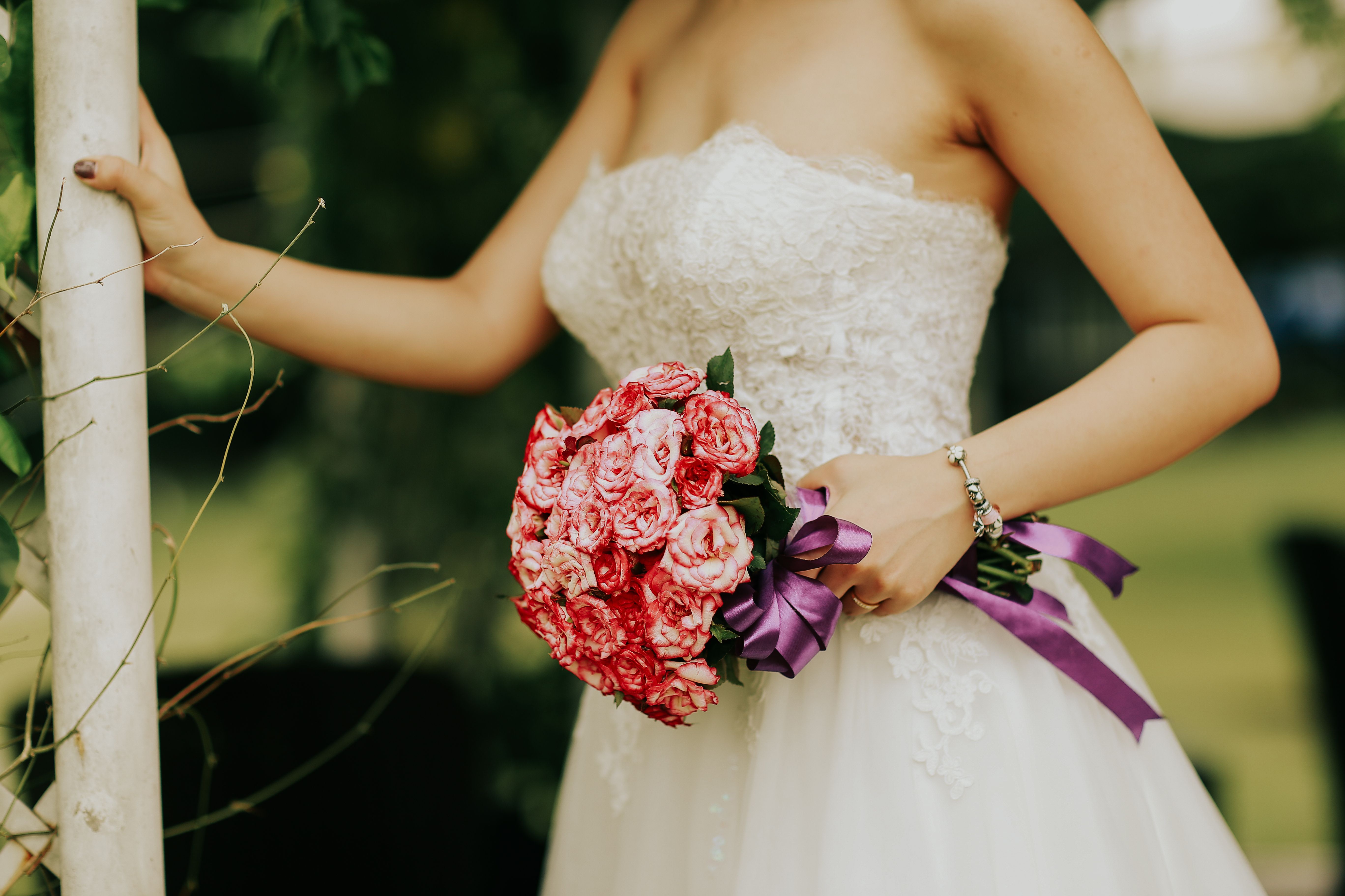 A Person Accepting a Pot of Flowers · Free Stock Photo