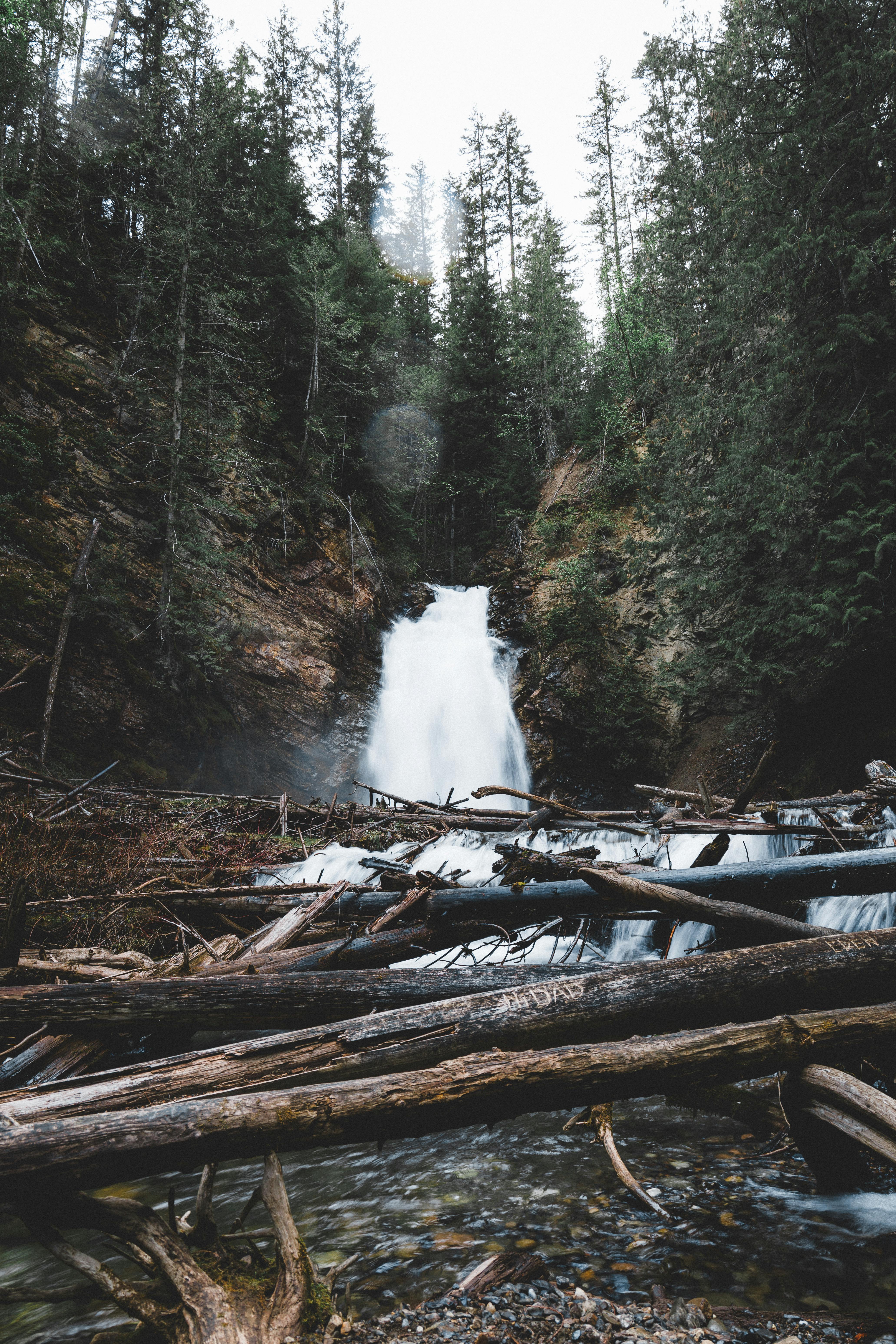 Waterfalls in a Forest with tree Logs on Creek · Free Stock Photo