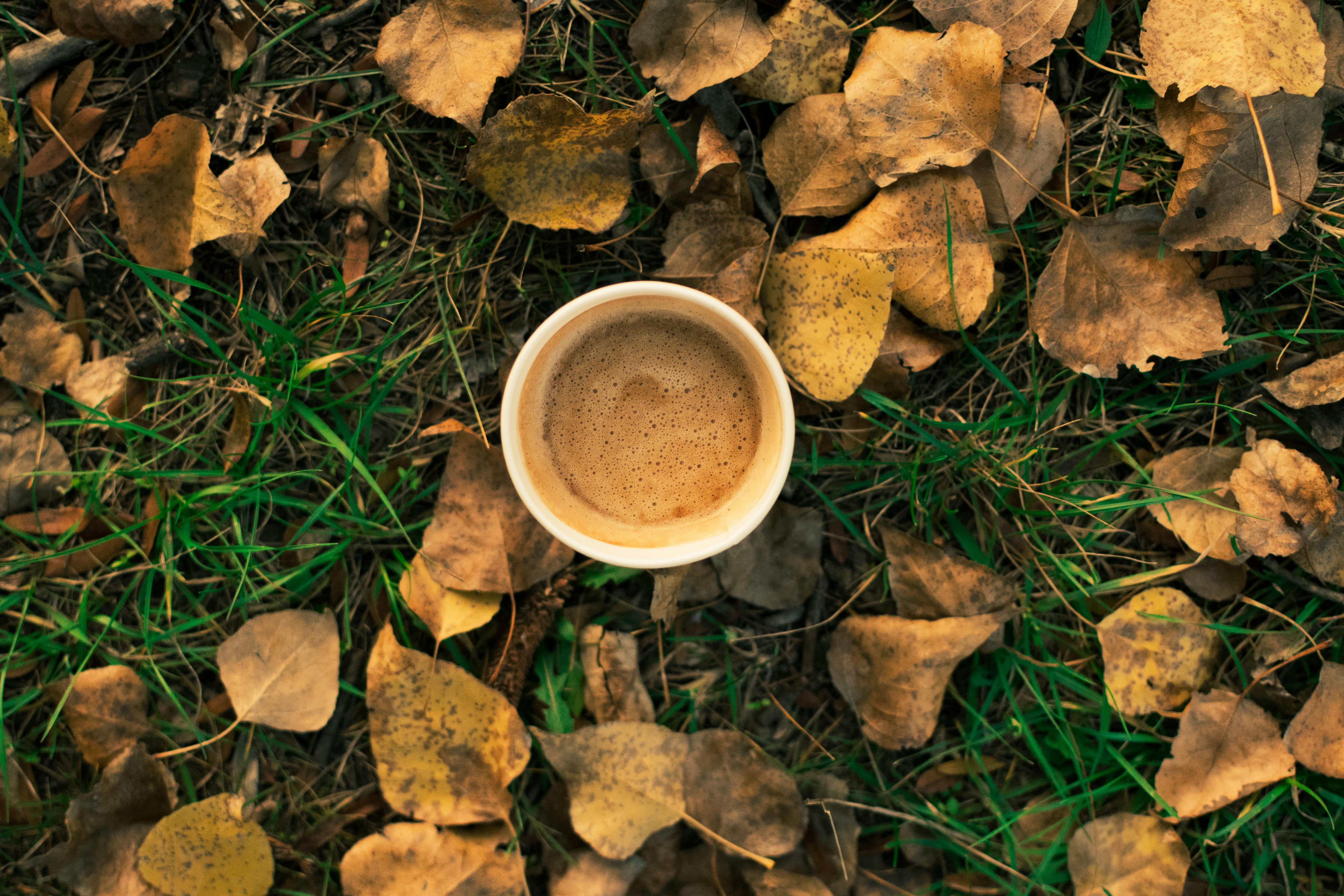 A Cup of Coffee Surrounded by Dried Leaves · Free Stock Photo