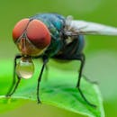 25 On the fly Synonyms. Similar words for On the fly.