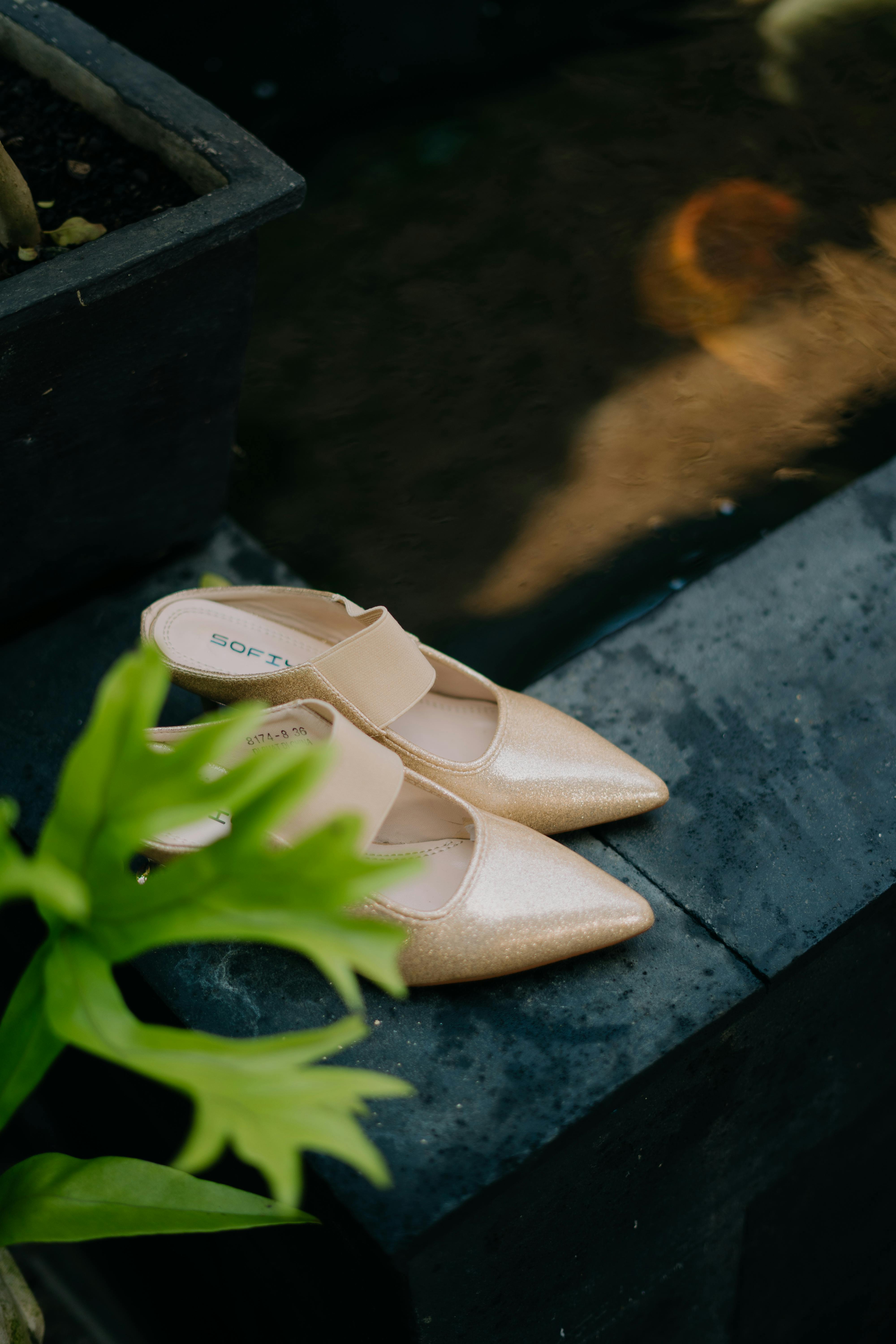 Person Standing on Tree Trunk · Free Stock Photo