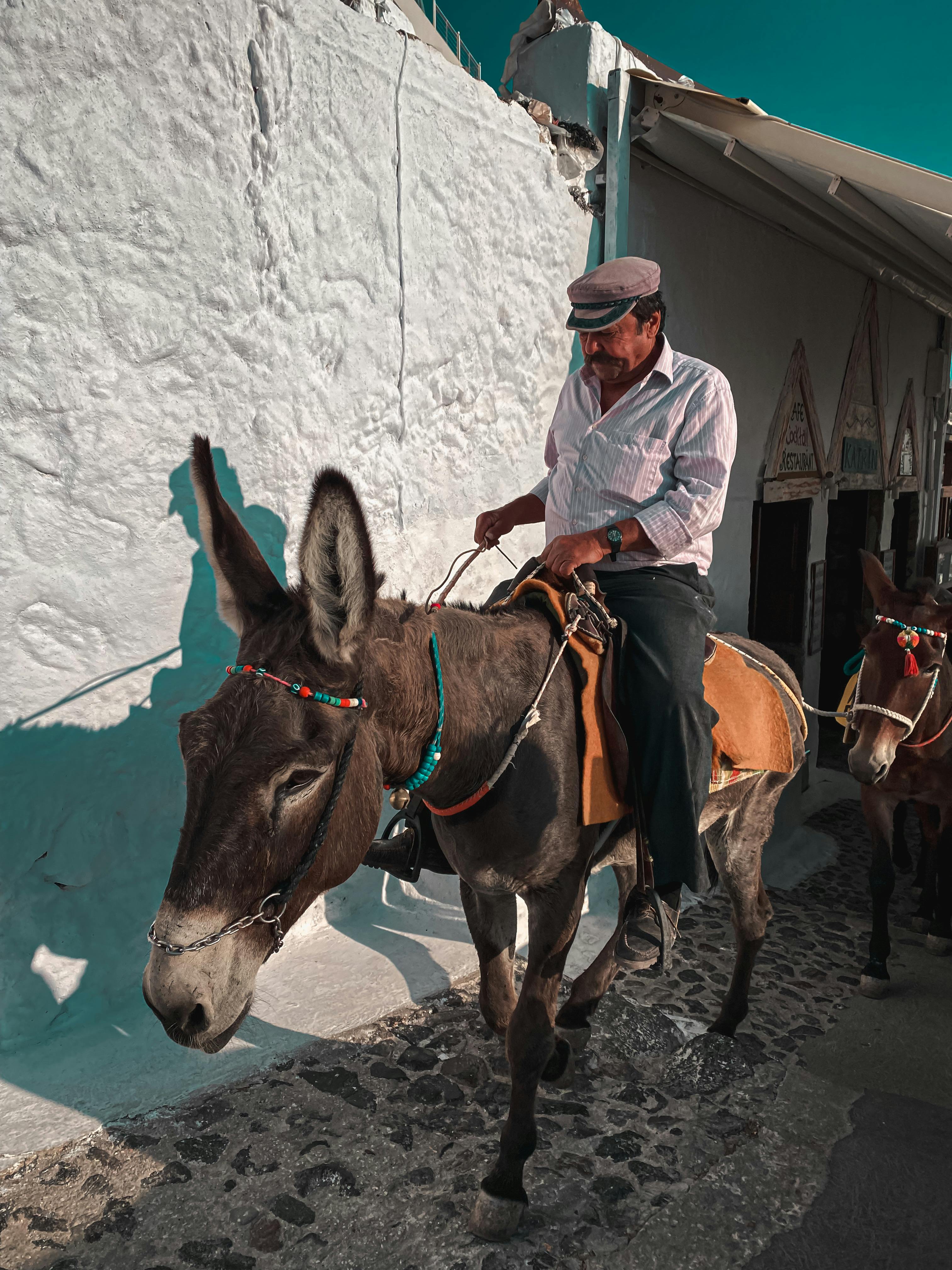 Man in White Long Sleeves Riding a Mule · Free Stock Photo