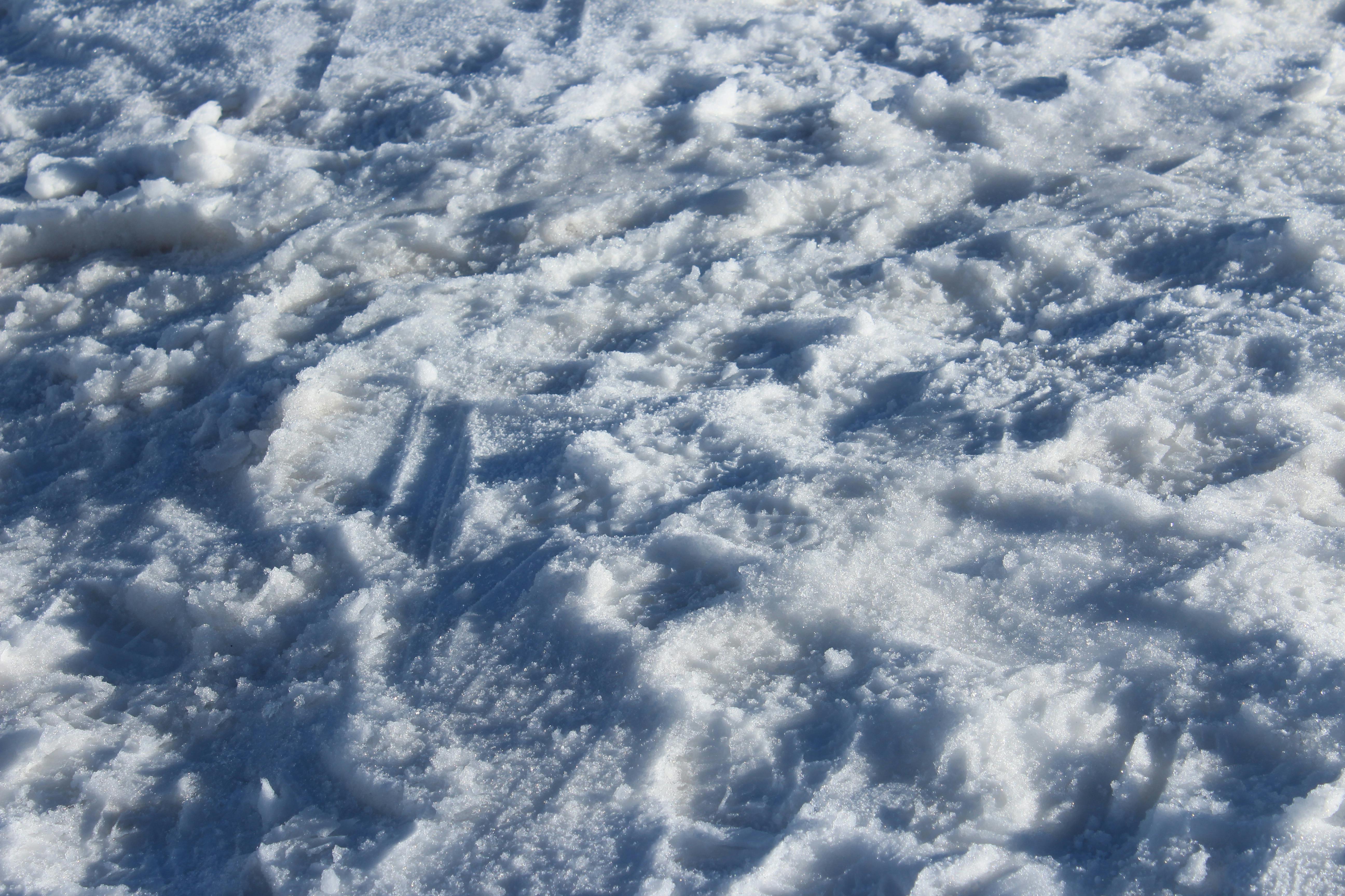 Free stock photo of snow, texture