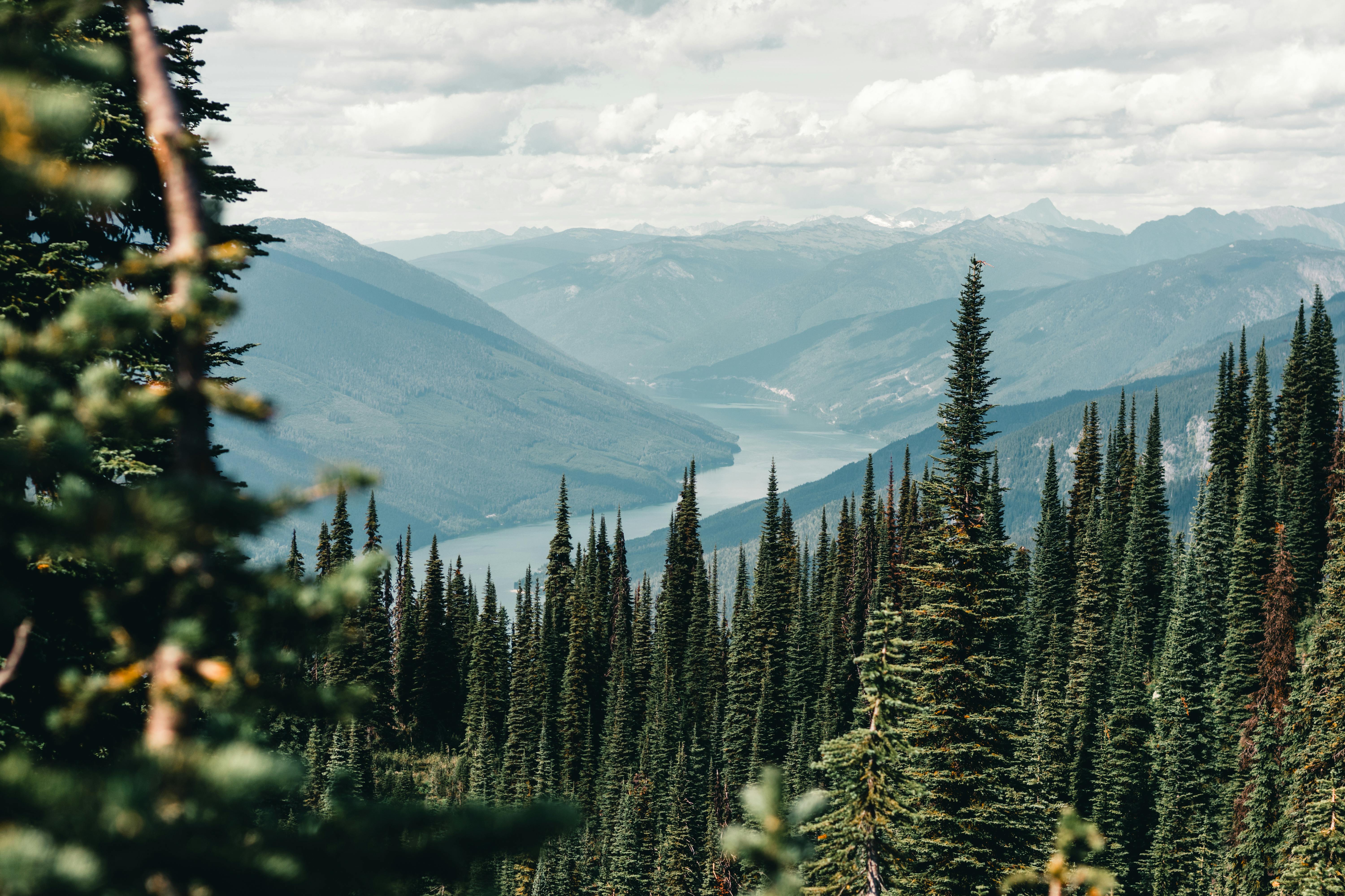 Trees Near Mountain Ranges · Free Stock Photo